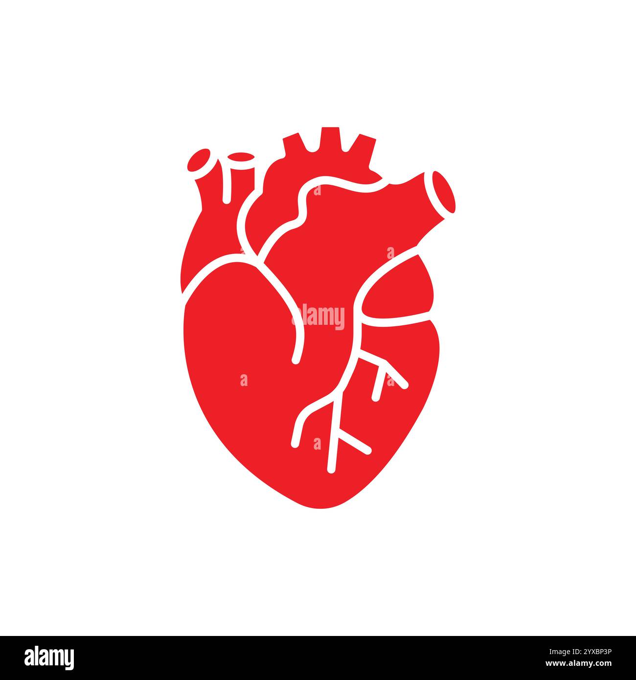 Human heart organ real hi-res stock photography and images - Alamy