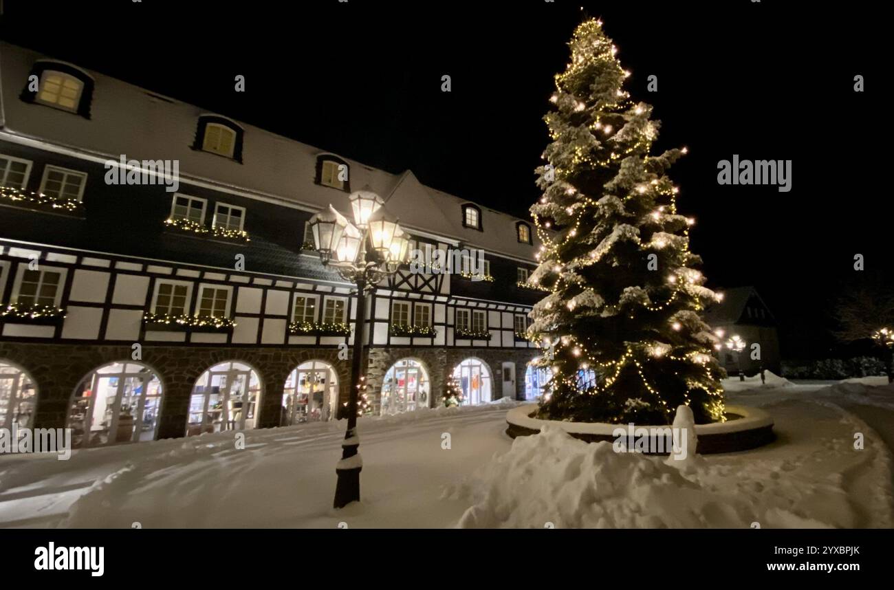 Christmas tree in the snow at night Stock Photo - Alamy