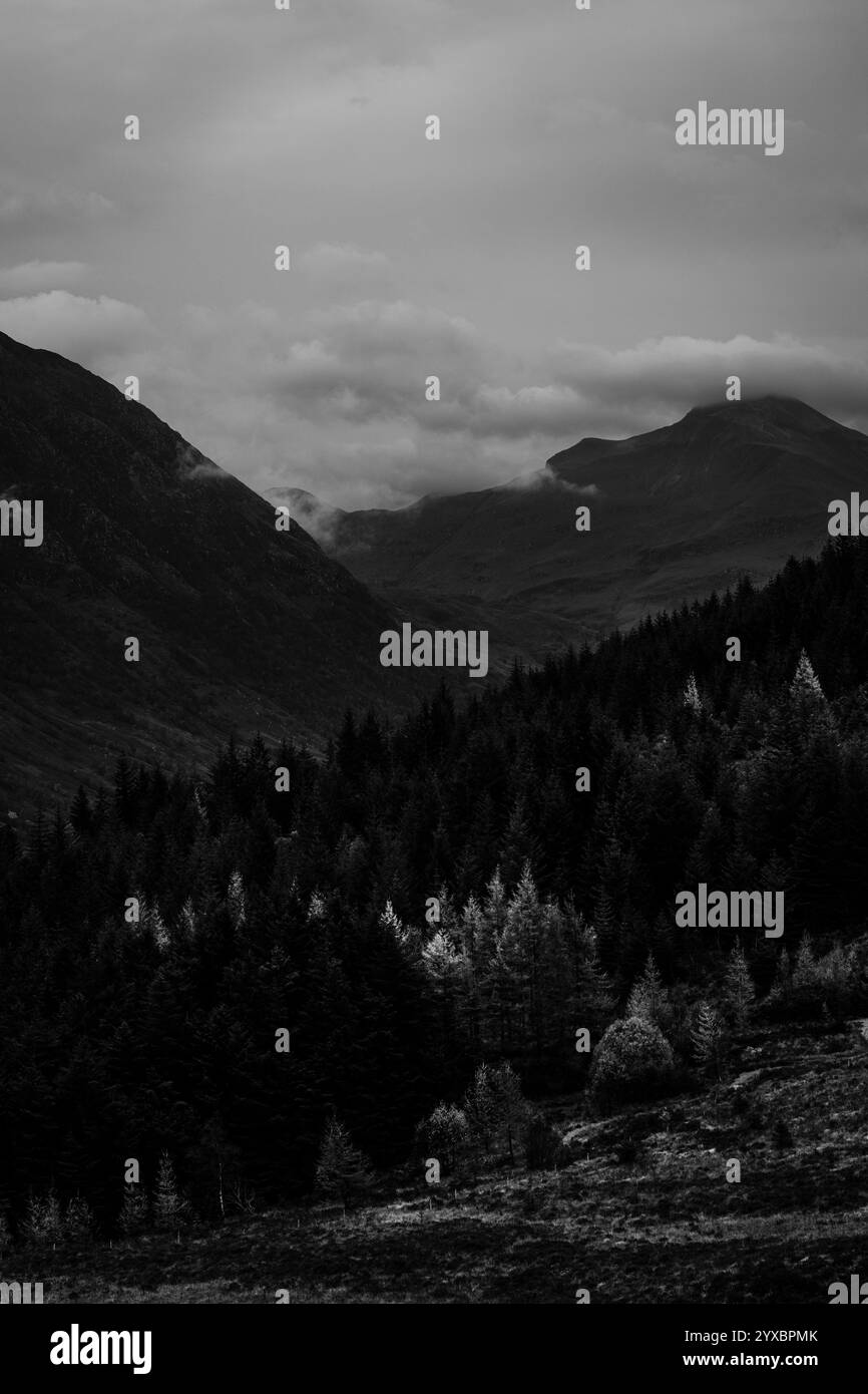 The beautiful nature of the Scottish Highlands Stock Photo - Alamy