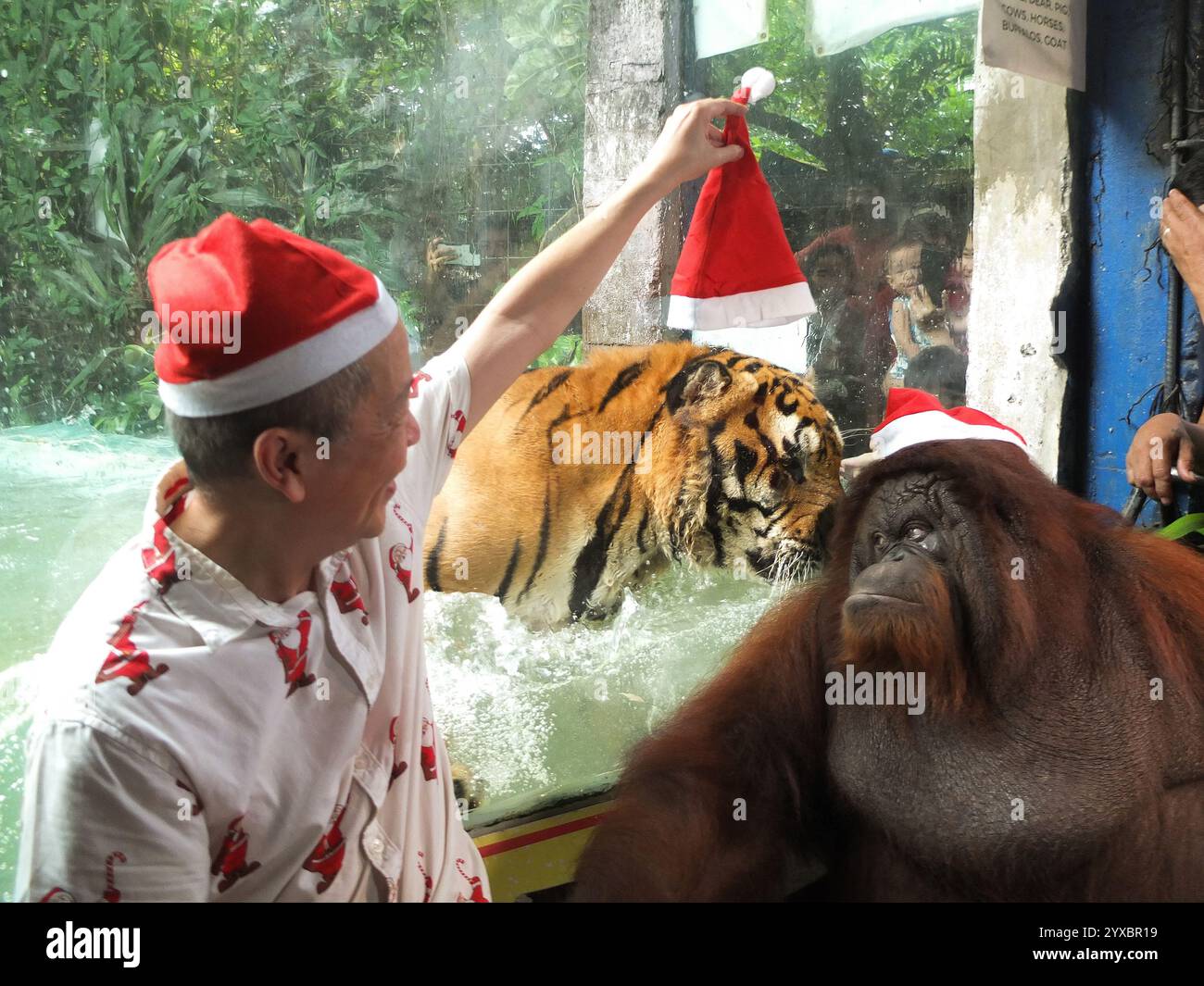 Manny Tangco, founder of Malabon Zoo put a Santa hat in a glass ...