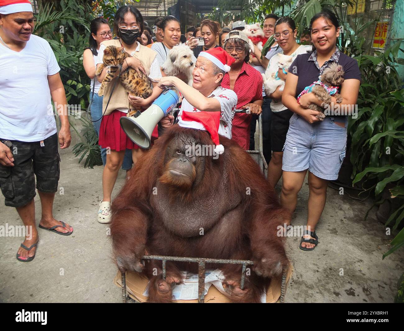 Malabon, Philippines. 14th Dec, 2024. Riding a pushcart, Manny Tangco ...