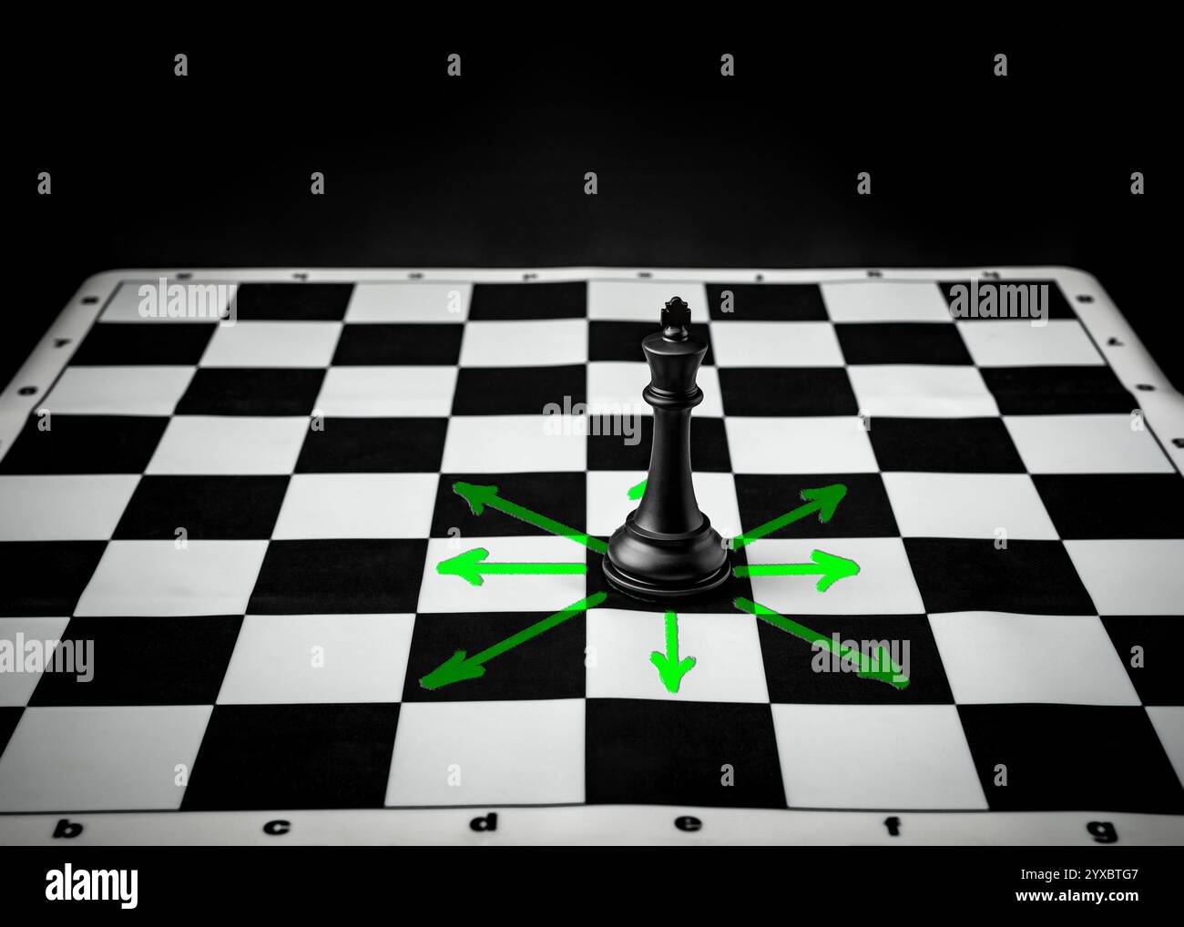 The King, how Chess Pieces move on the chessboard, the moves marked ...