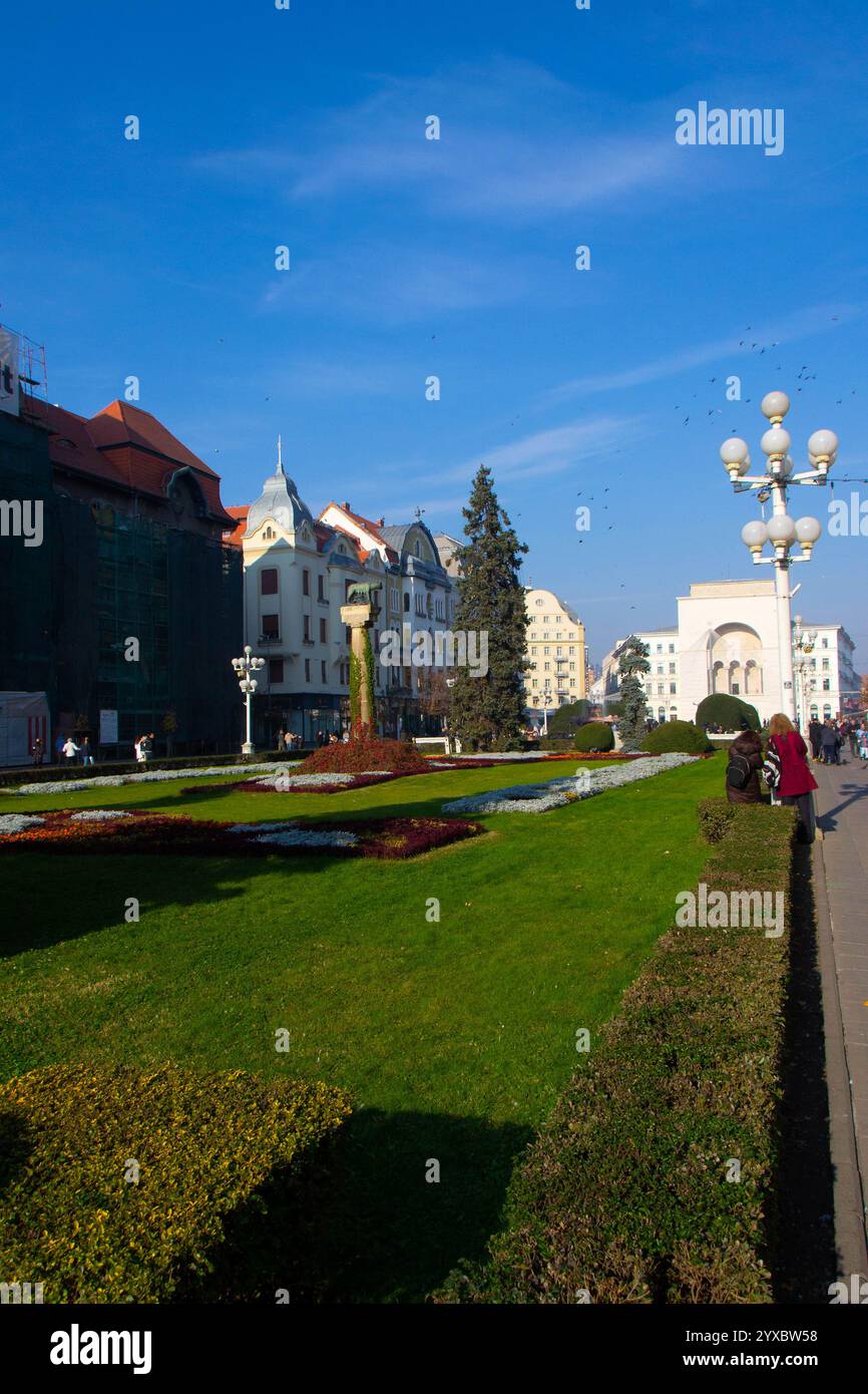 Central blue flower surrounded hi-res stock photography and images - Alamy