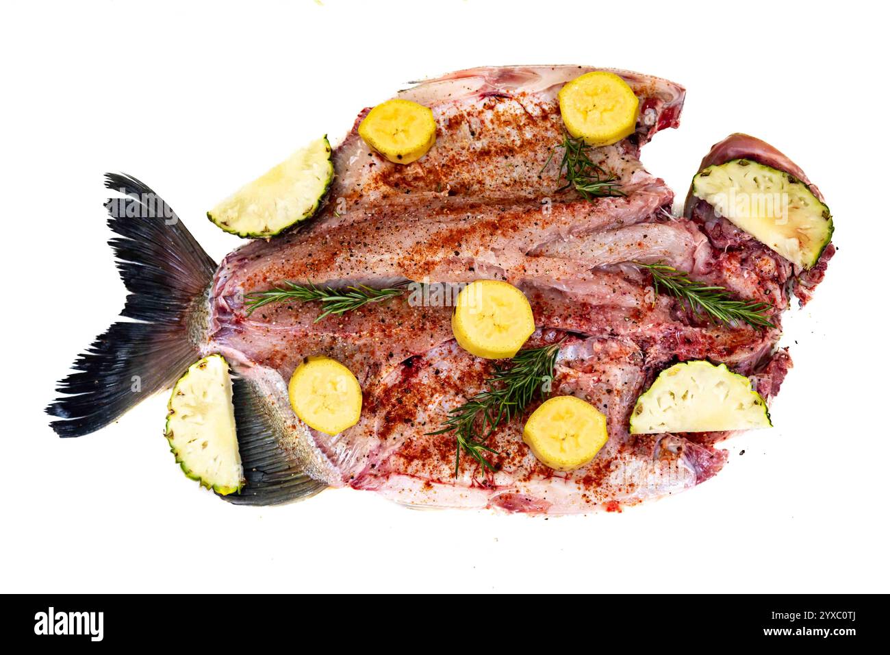 amazon, amazon fish, amazonia wildlife, amazonian, barbecue, brazil ...