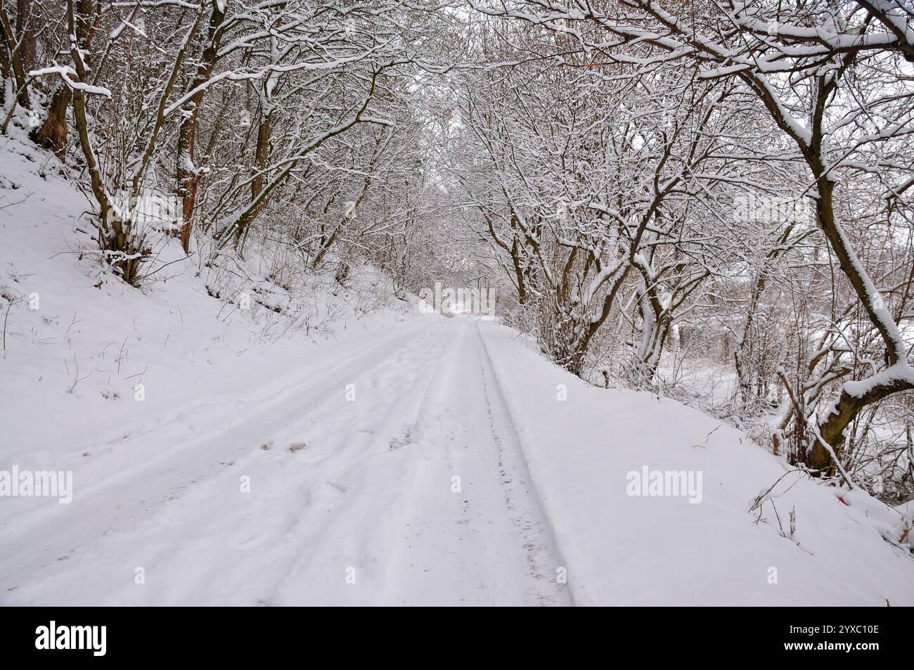 Winter sylvan road covered with thick snow Stock Photo - Alamy