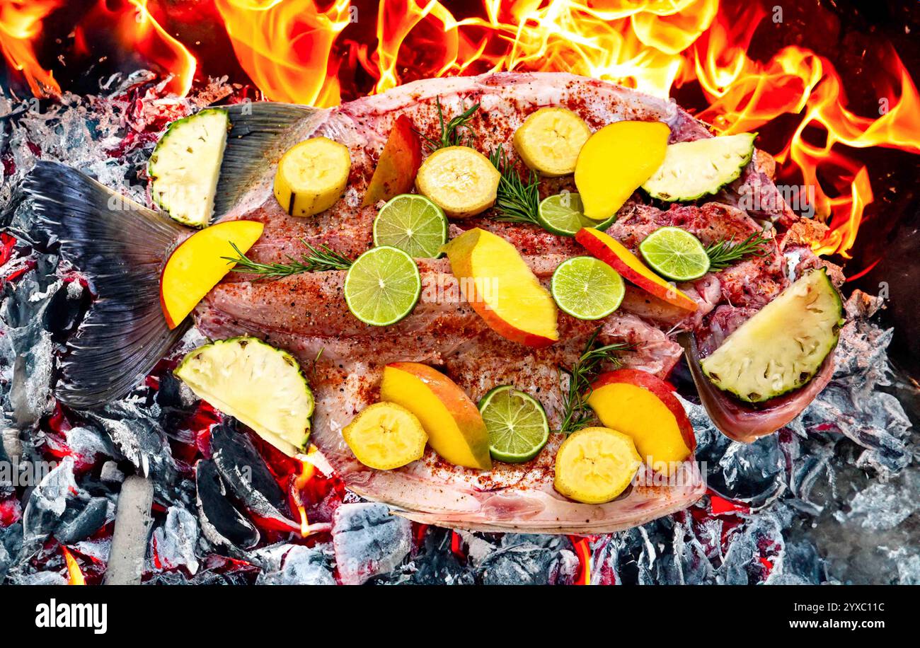 amazon, amazon fish, amazonia wildlife, amazonian, barbecue, brazil ...