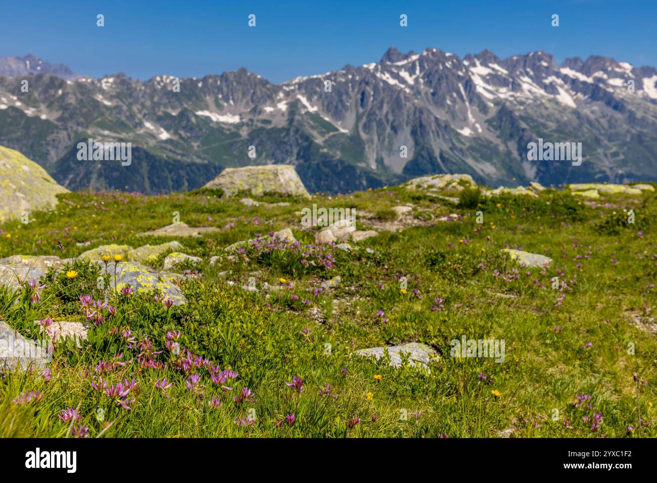 Alps scenic landscape on Tour du Montblanc. Rocky and snow summit peaks ...