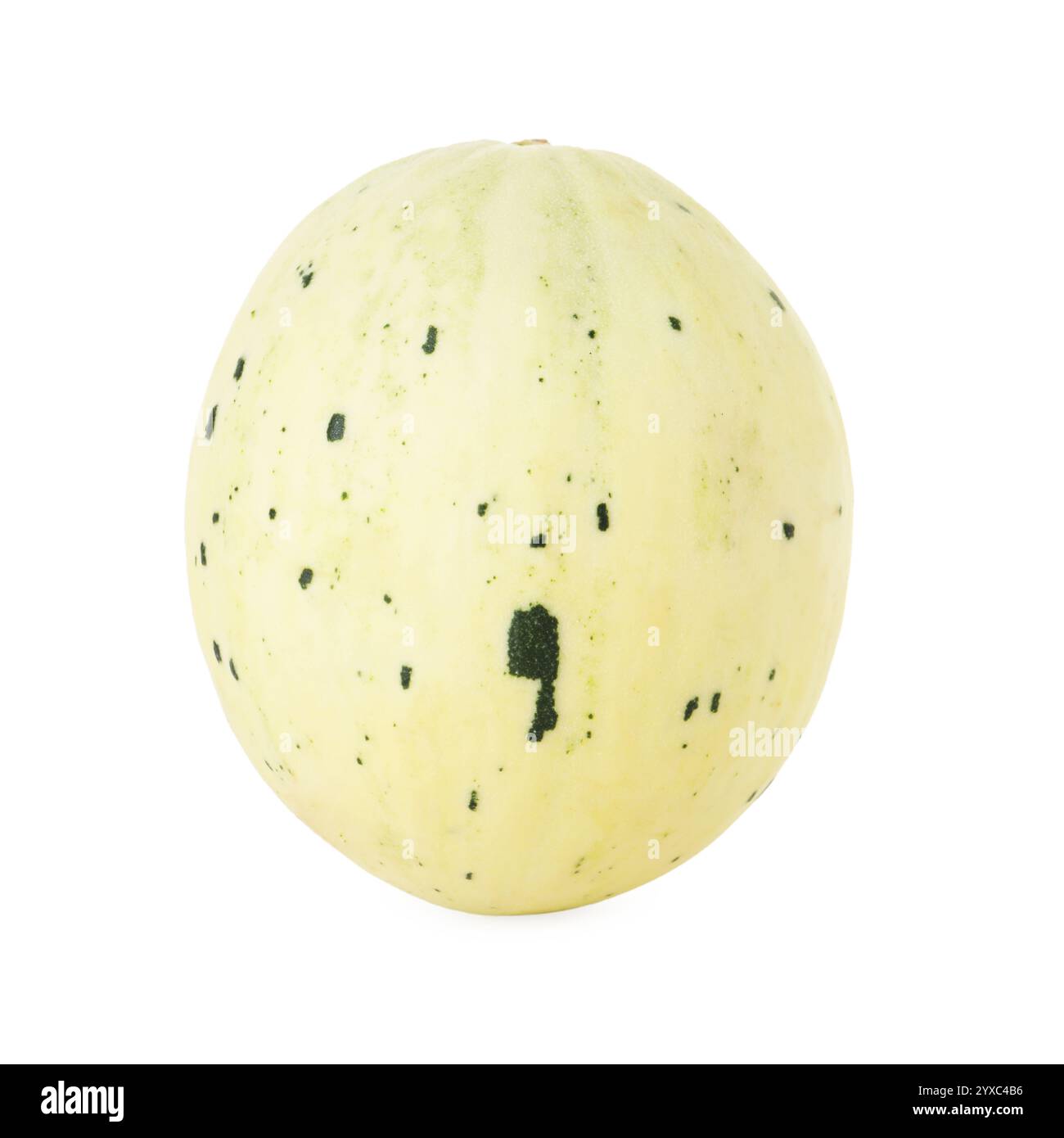 One fresh ripe melon isolated on white Stock Photo - Alamy