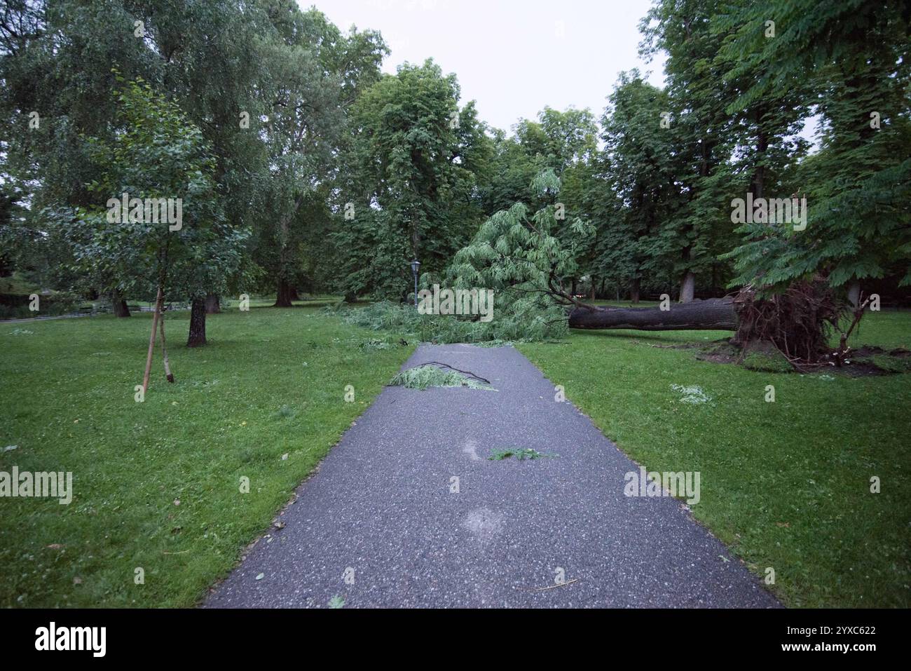 storm damages after a severe storm in a park, a natural disaster storm ...