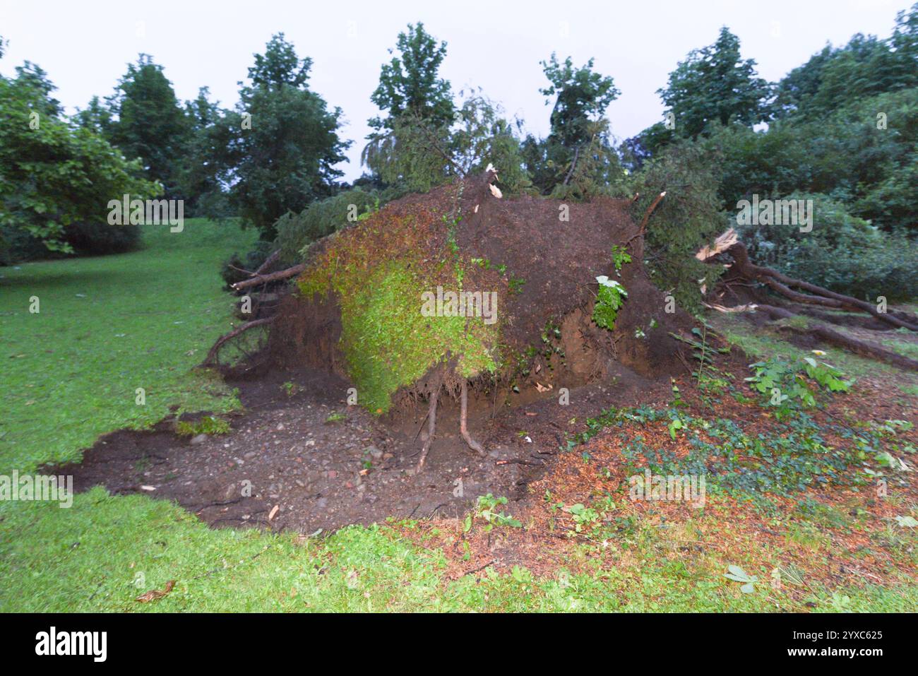 storm damages after a severe storm in a park, a natural disaster storm ...