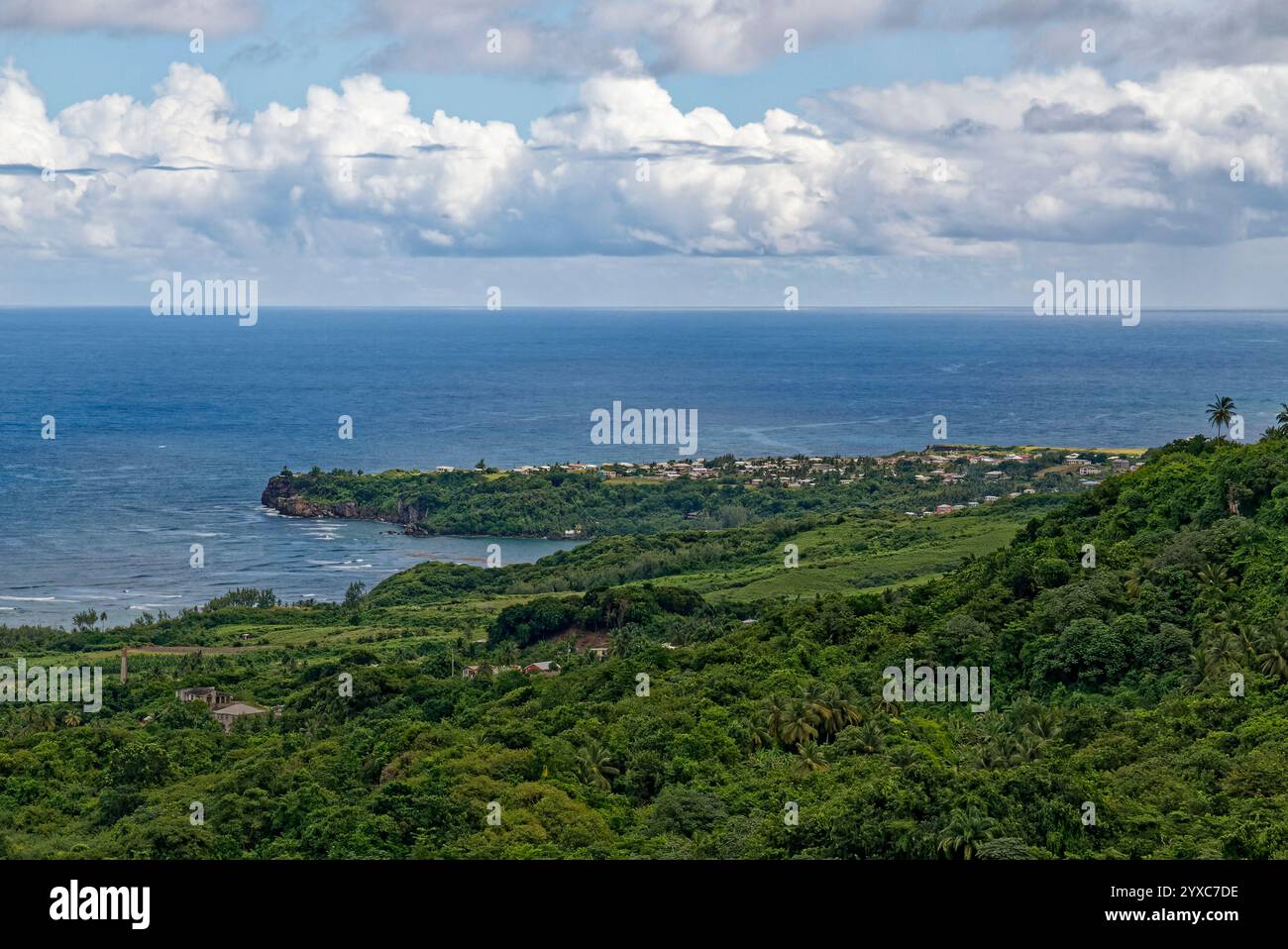 overview, scene, landscape, sea, blue water, green vegetation ...