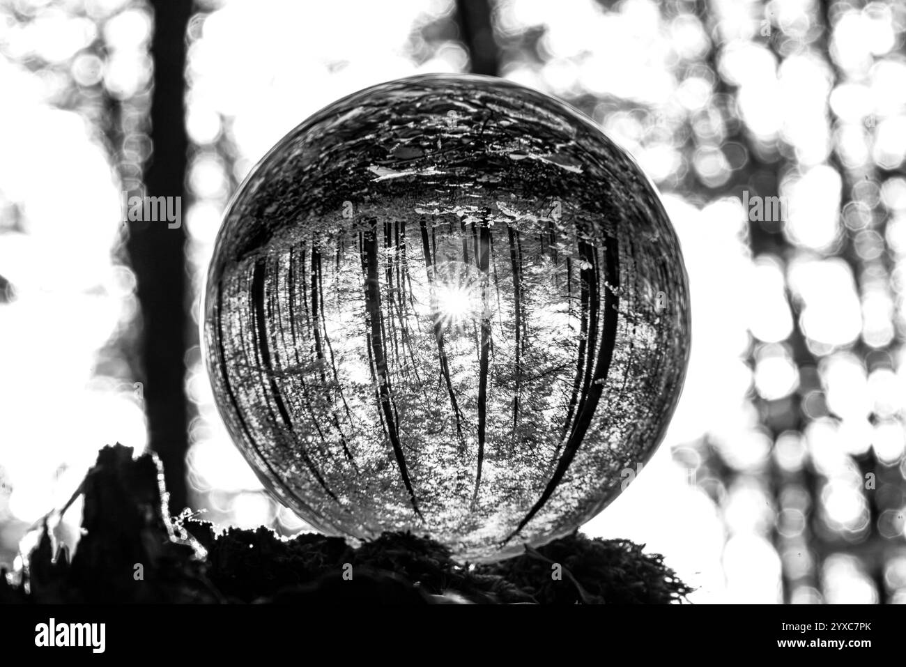 Striking visual texture hi-res stock photography and images - Alamy