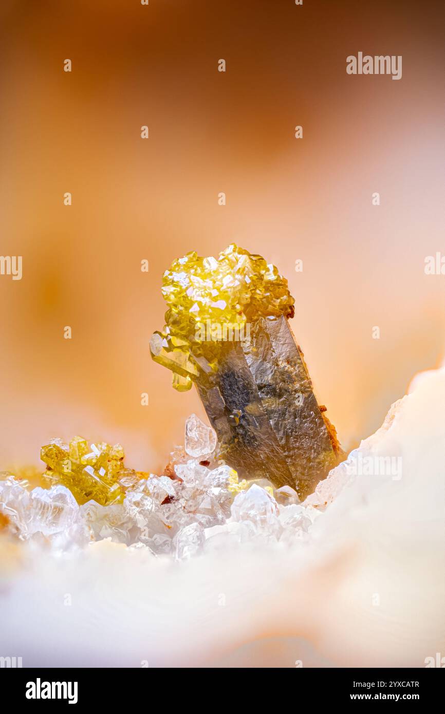 Mimetite on Baryte. Specimen from Mas Dieu, Laval-Pradel, France. Micro ...