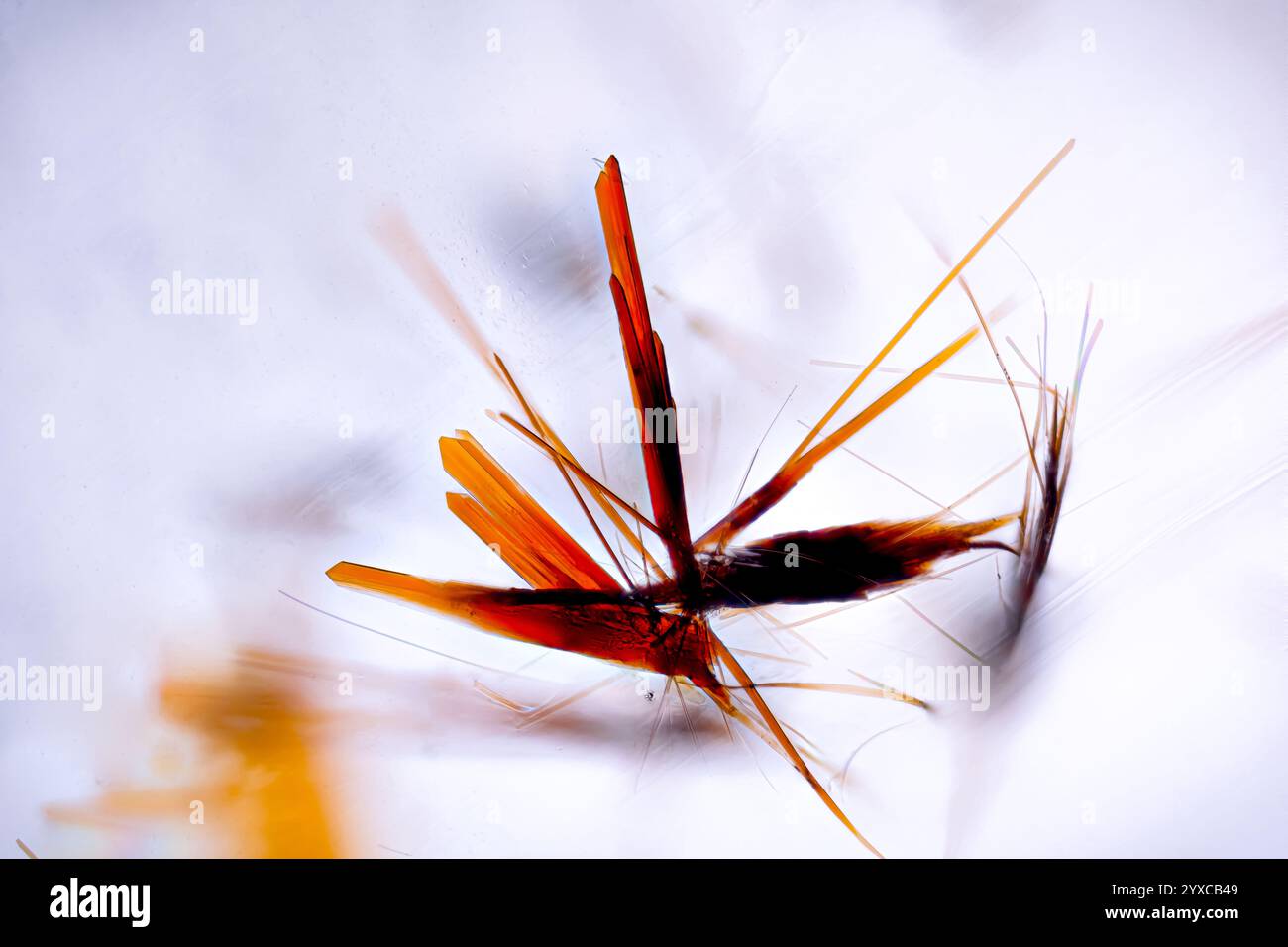 Tantalite blade Inclusion in Topaz. Specimen from Pakistan. Micro ...