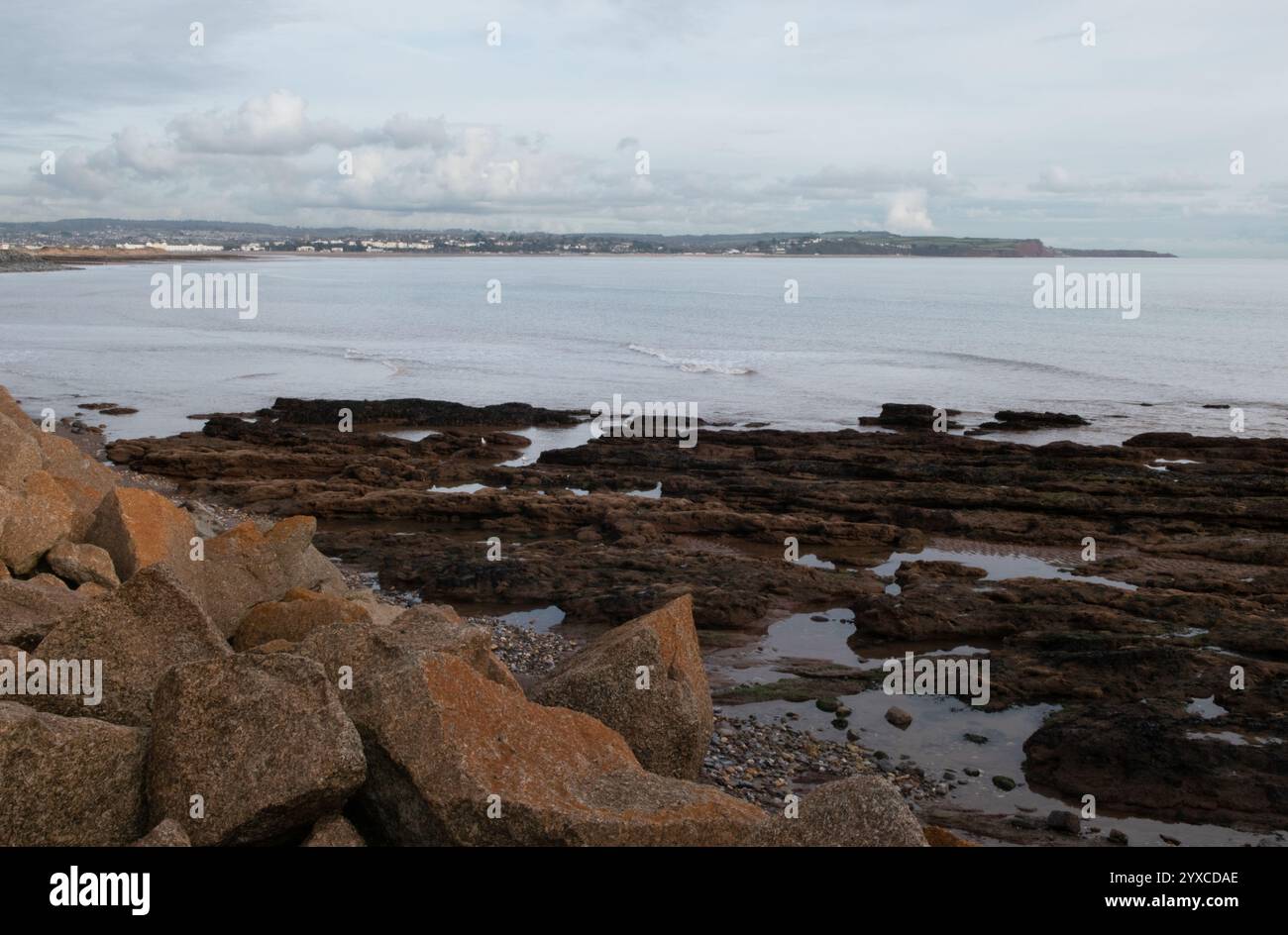 Rock pools exmouth beach devon hi-res stock photography and images - Alamy