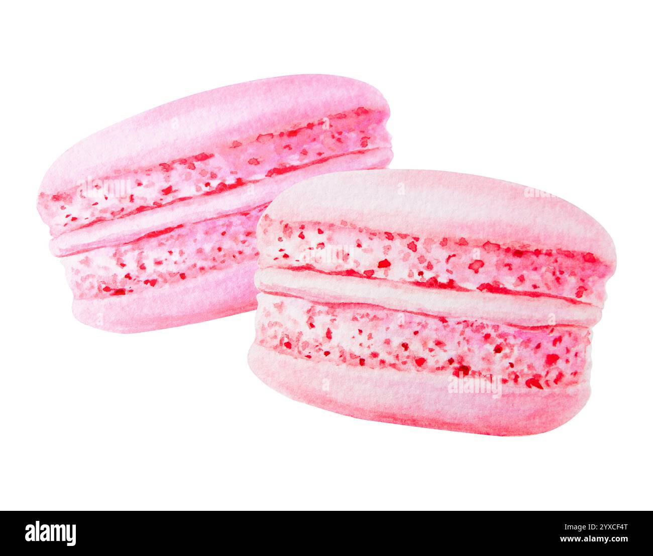 Watercolor illustration of pink macarons with detailed texture and ...