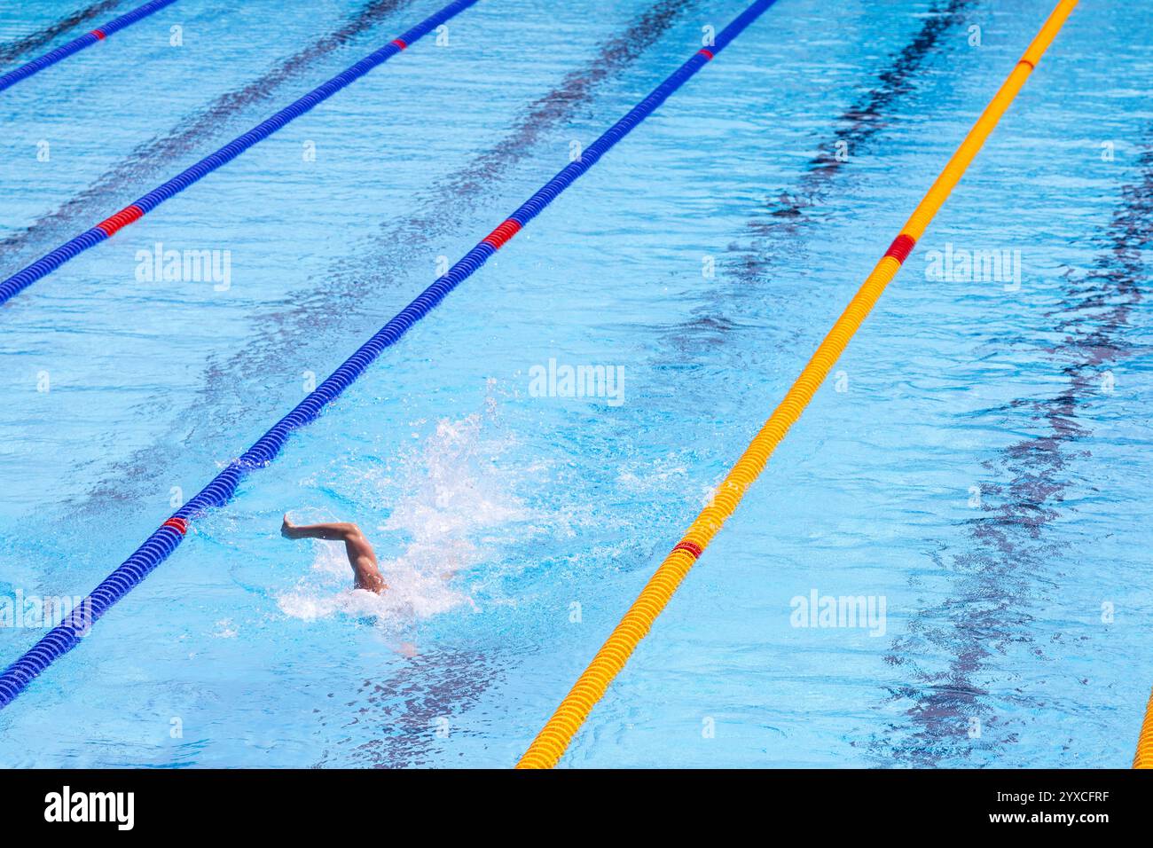 Swimmer swimming freestyle stroke or front crawl during sport swim meet ...