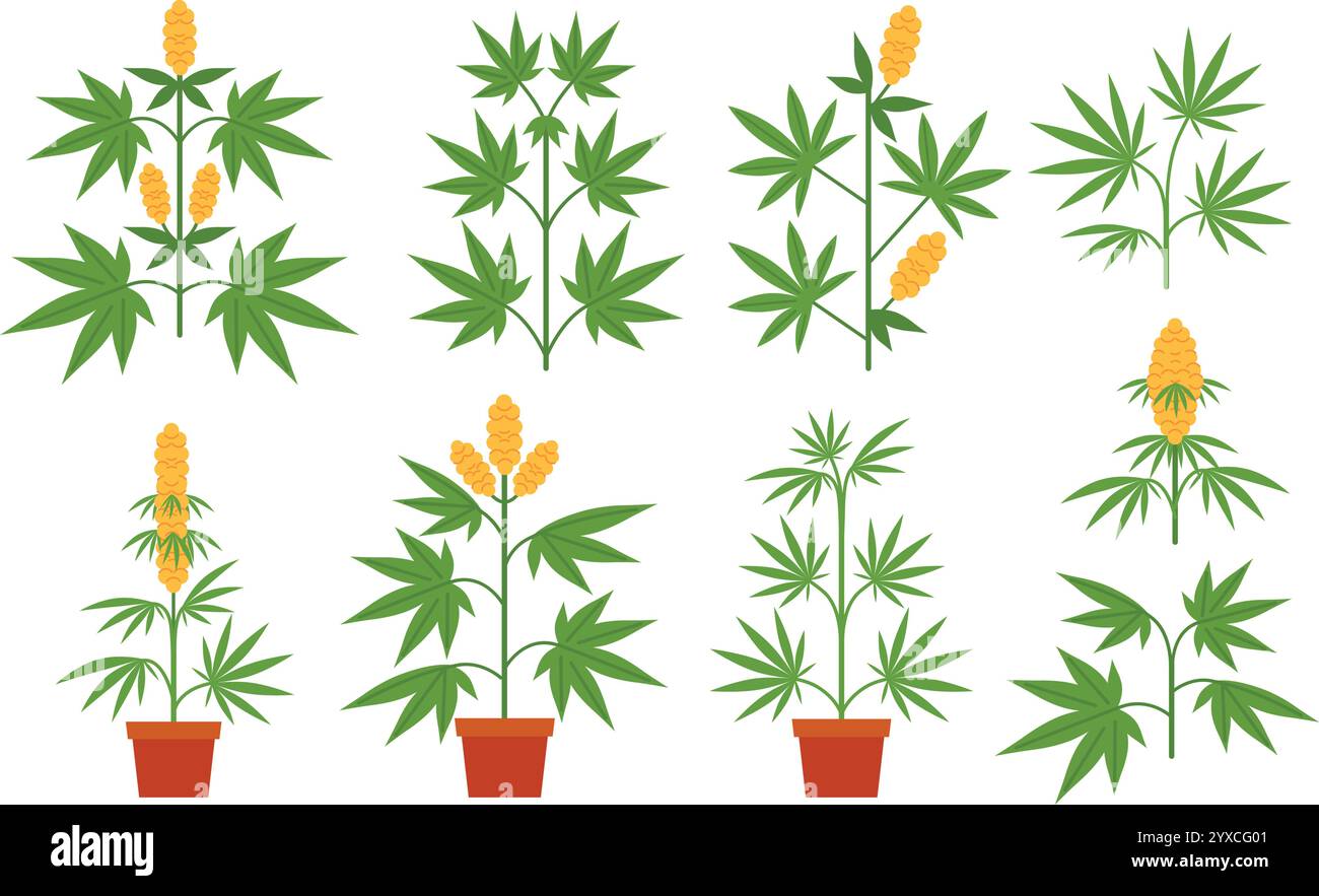 Leaves budding plants Stock Vector Images - Alamy