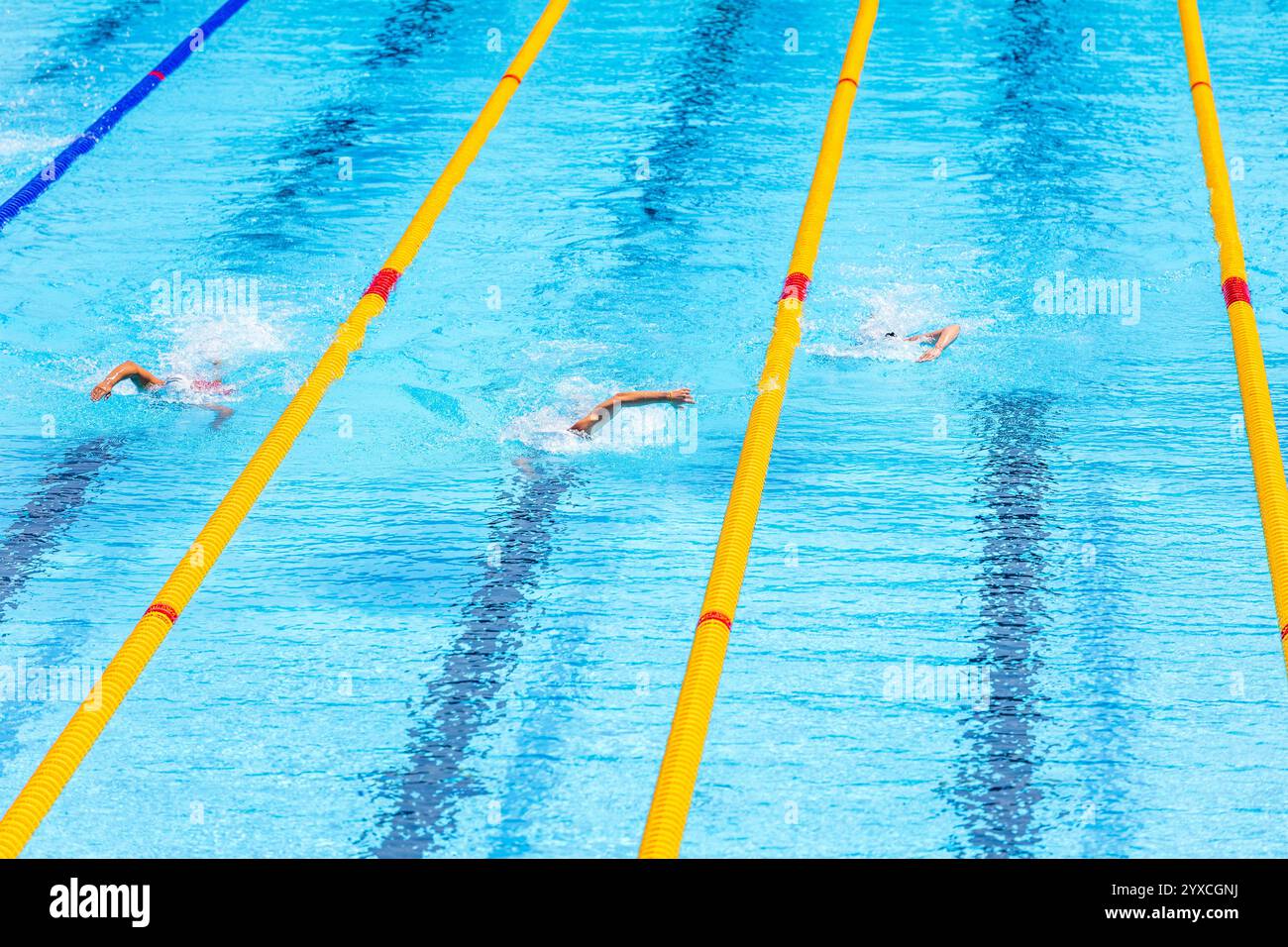 Swimmers swimming freestyle stroke or front crawl during sport swim ...