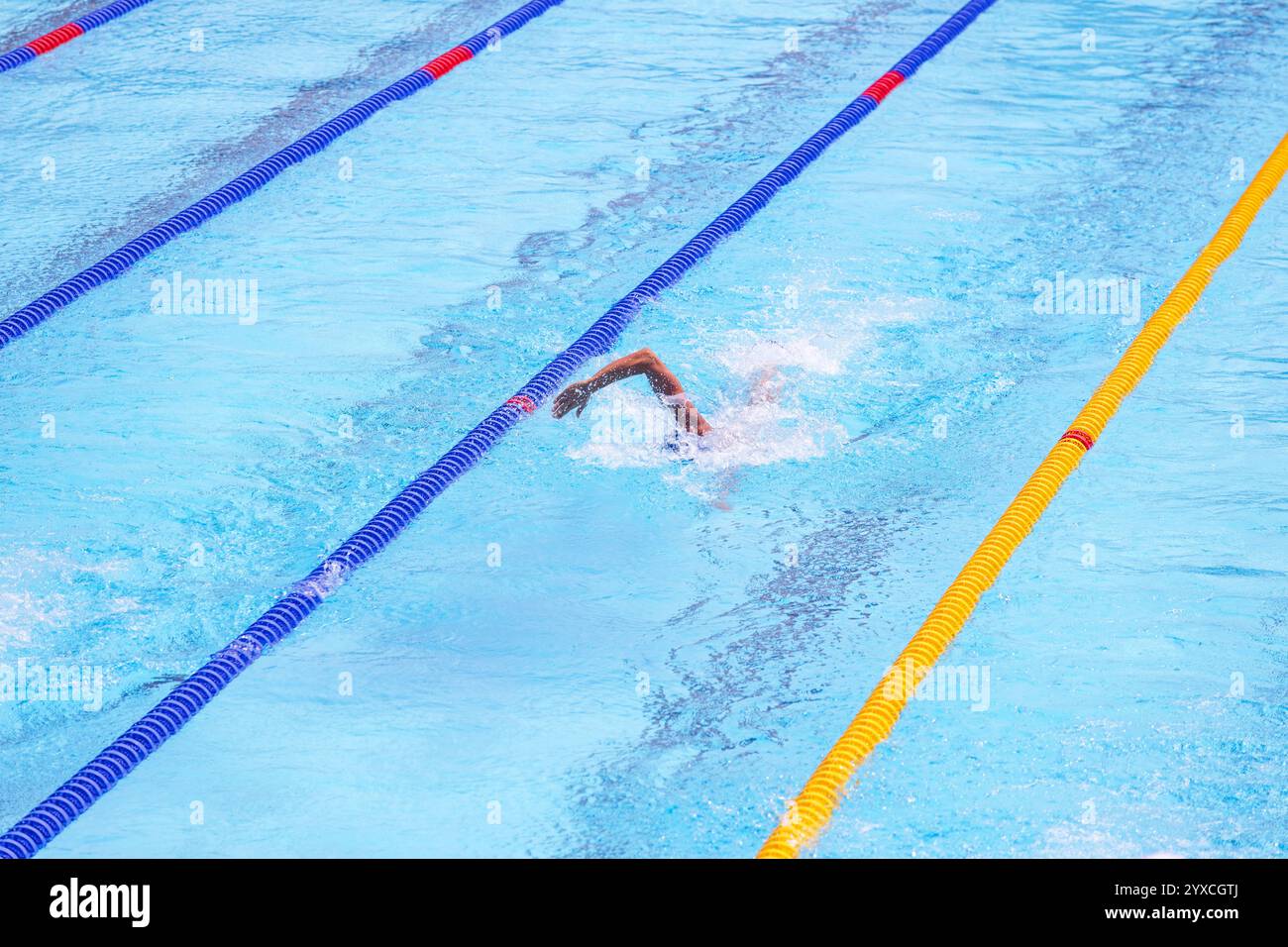 Swimmer swimming freestyle stroke or front crawl during sport swim meet ...