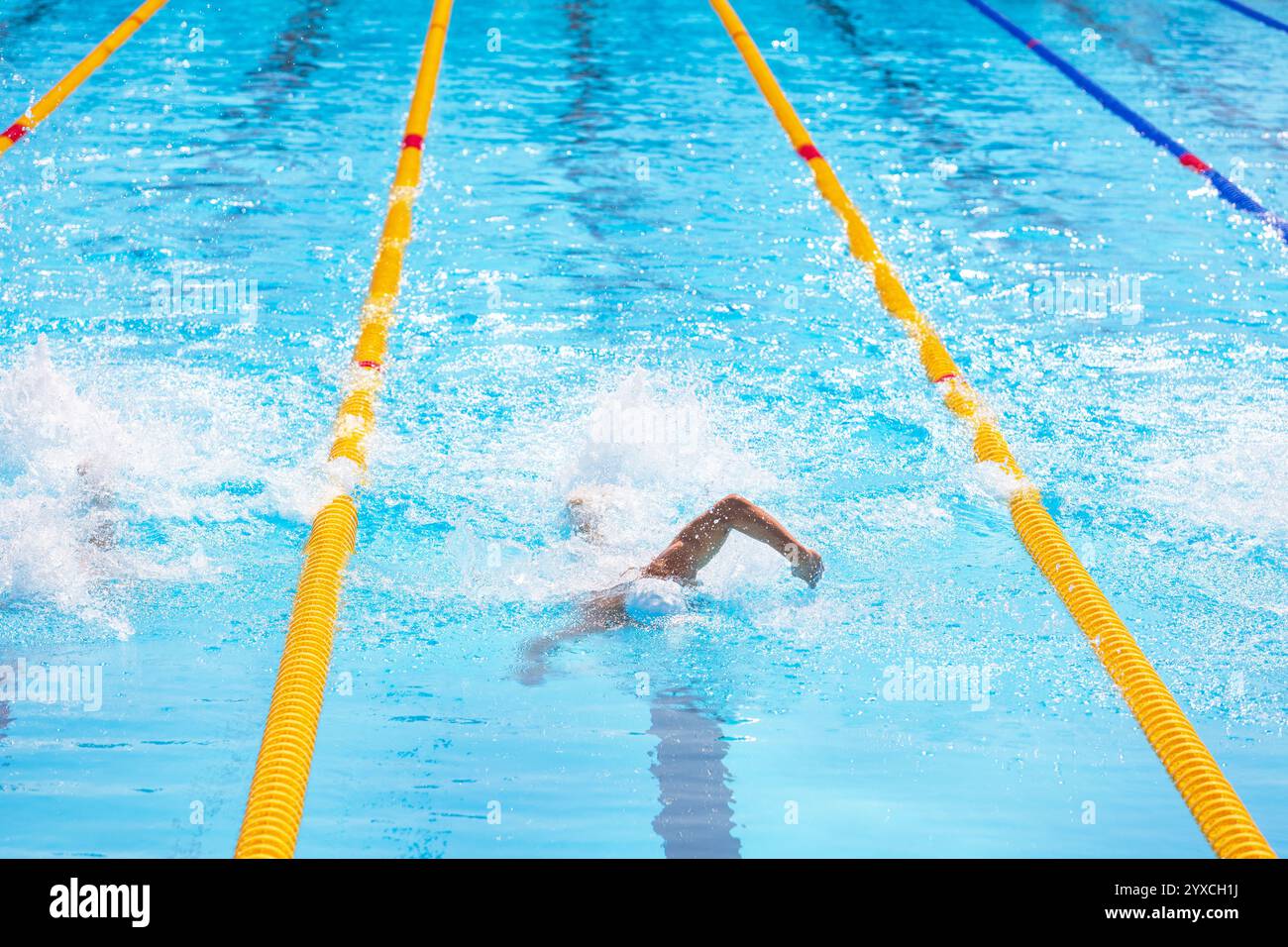 Swimmer swimming freestyle stroke or front crawl during sport swim meet ...