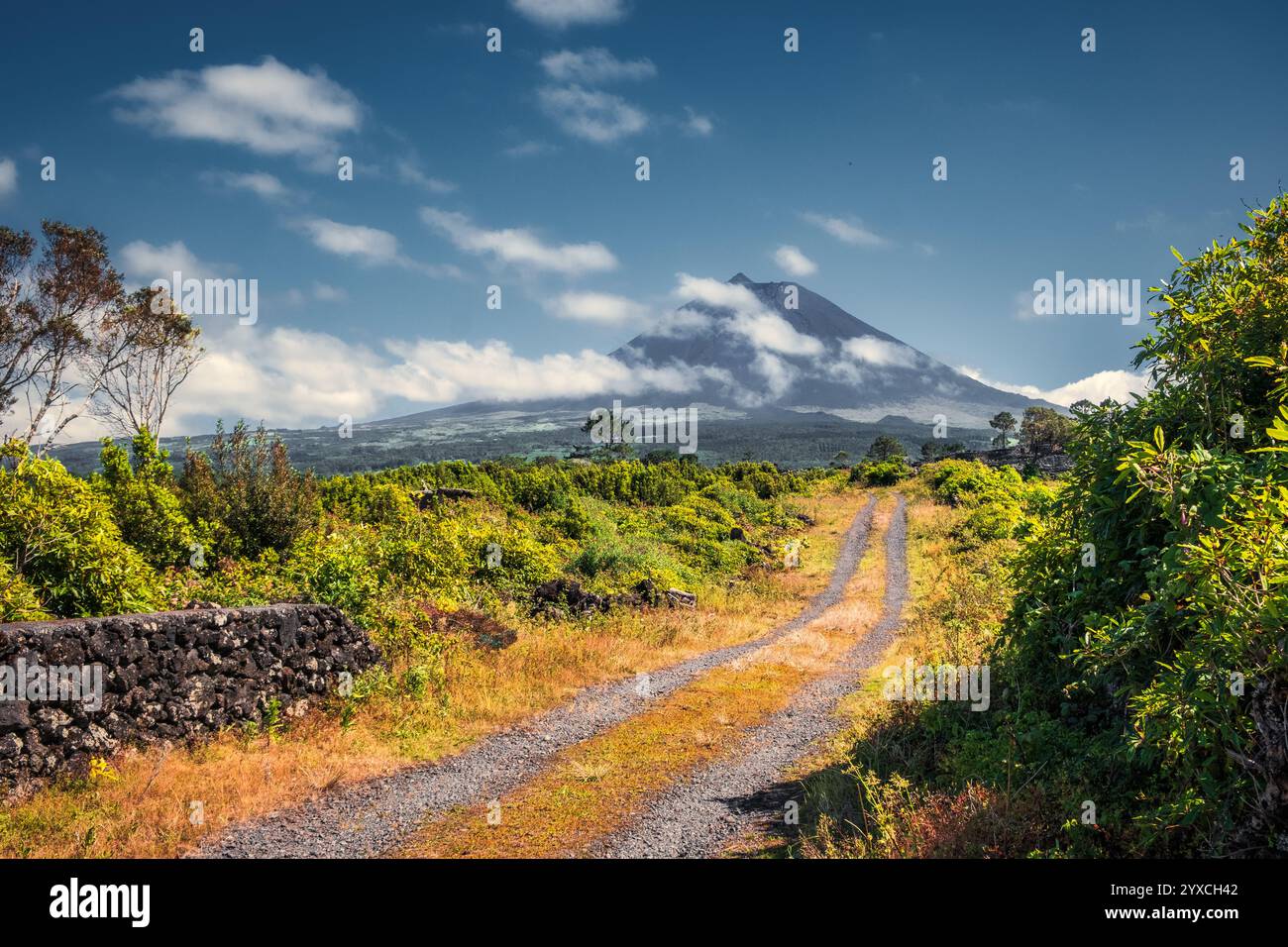Landscape view of Mount Pico volcano mountain and road in foreground ...