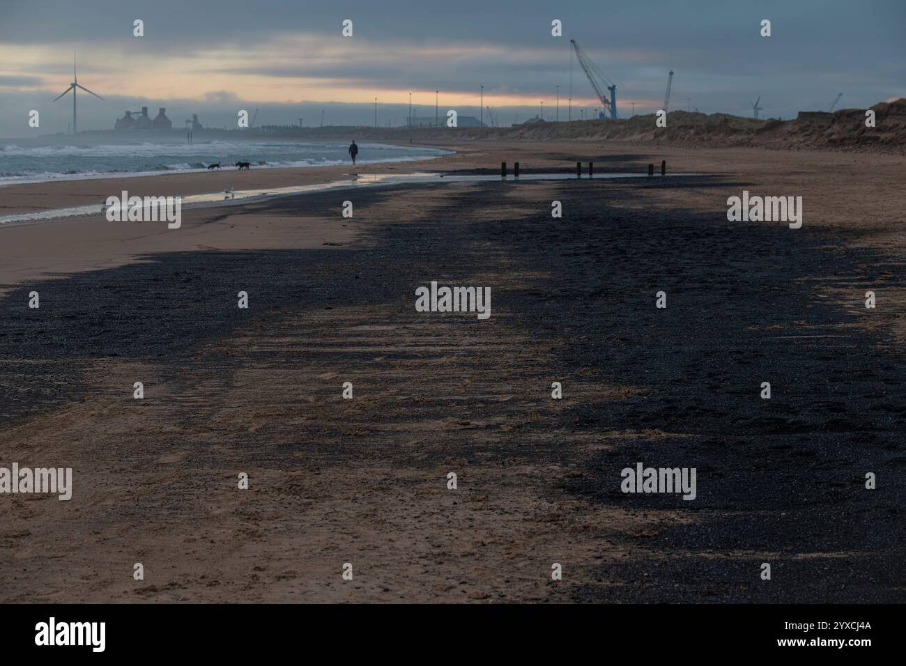 Sea coal on Cambois beach Stock Photo - Alamy