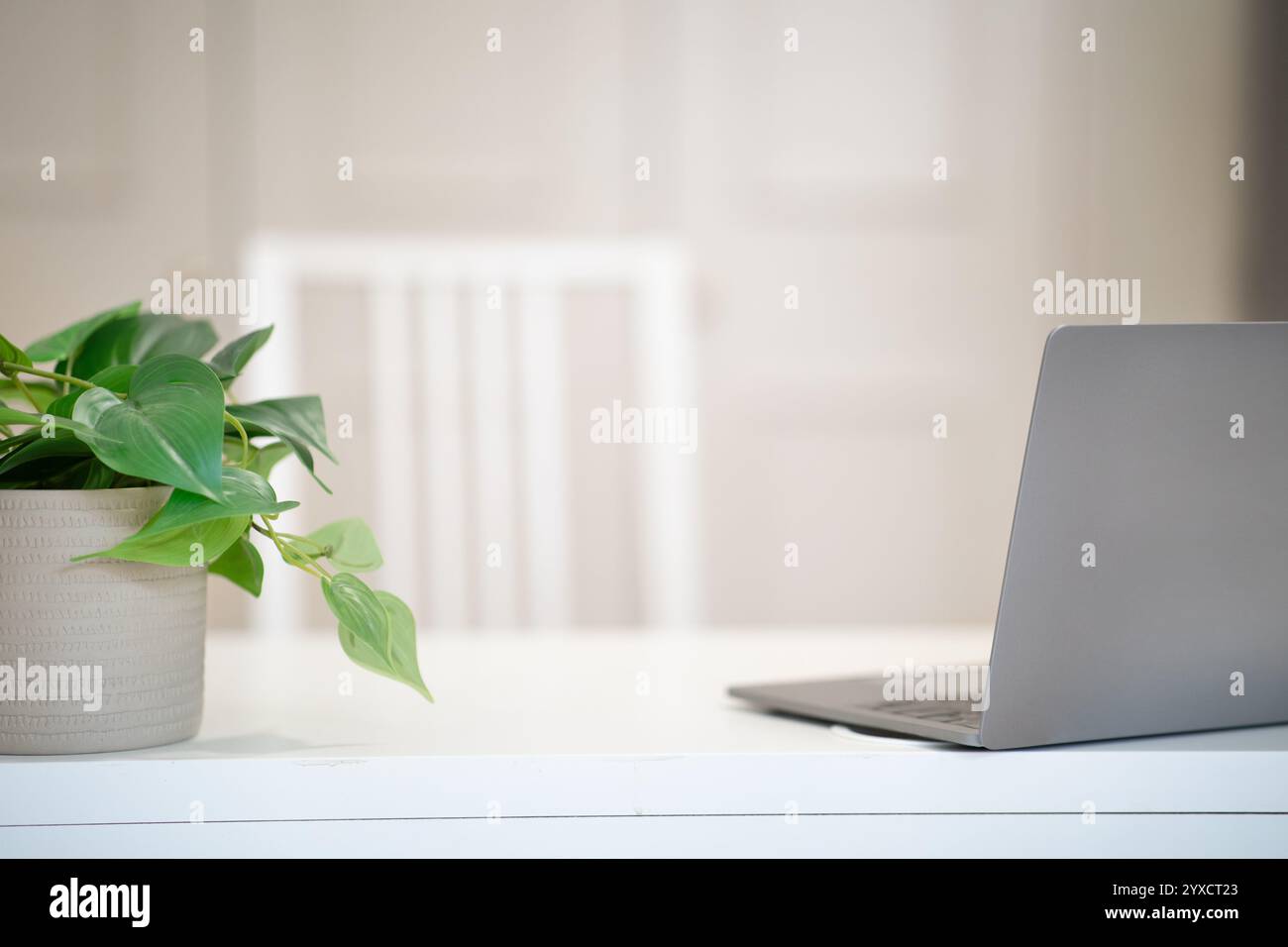 Home study setup with laptop and plant perfect for teenage lifestyle ...
