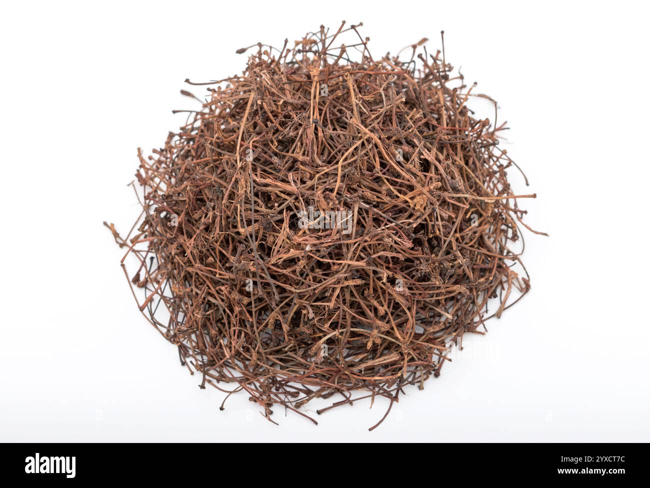 Dried cherry stalks. Cherry stem on white background Stock Photo - Alamy