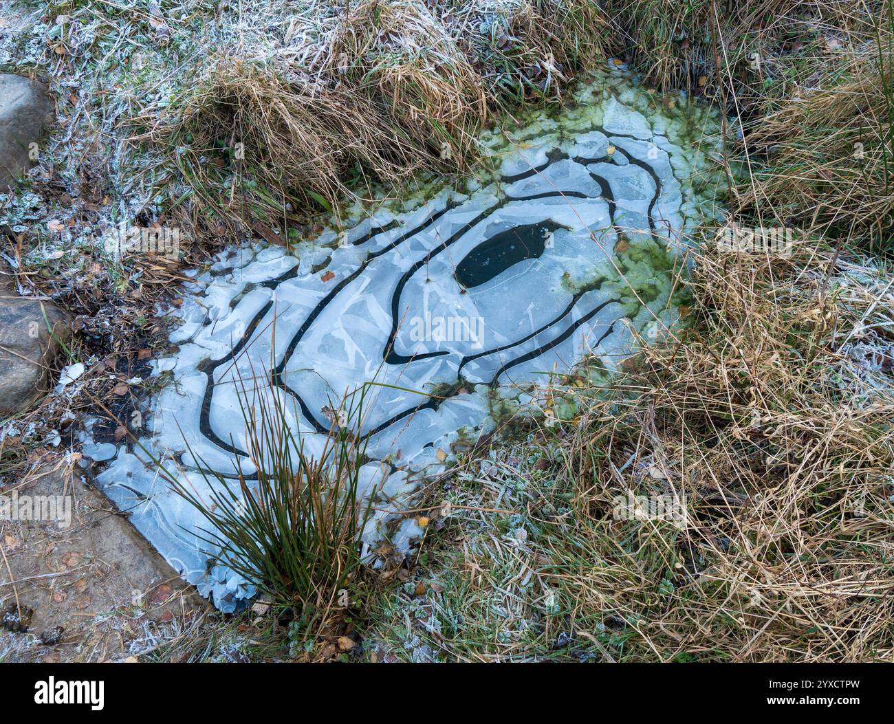 Pretty ice patterns form concentric rings / bands above frozen puddle ...