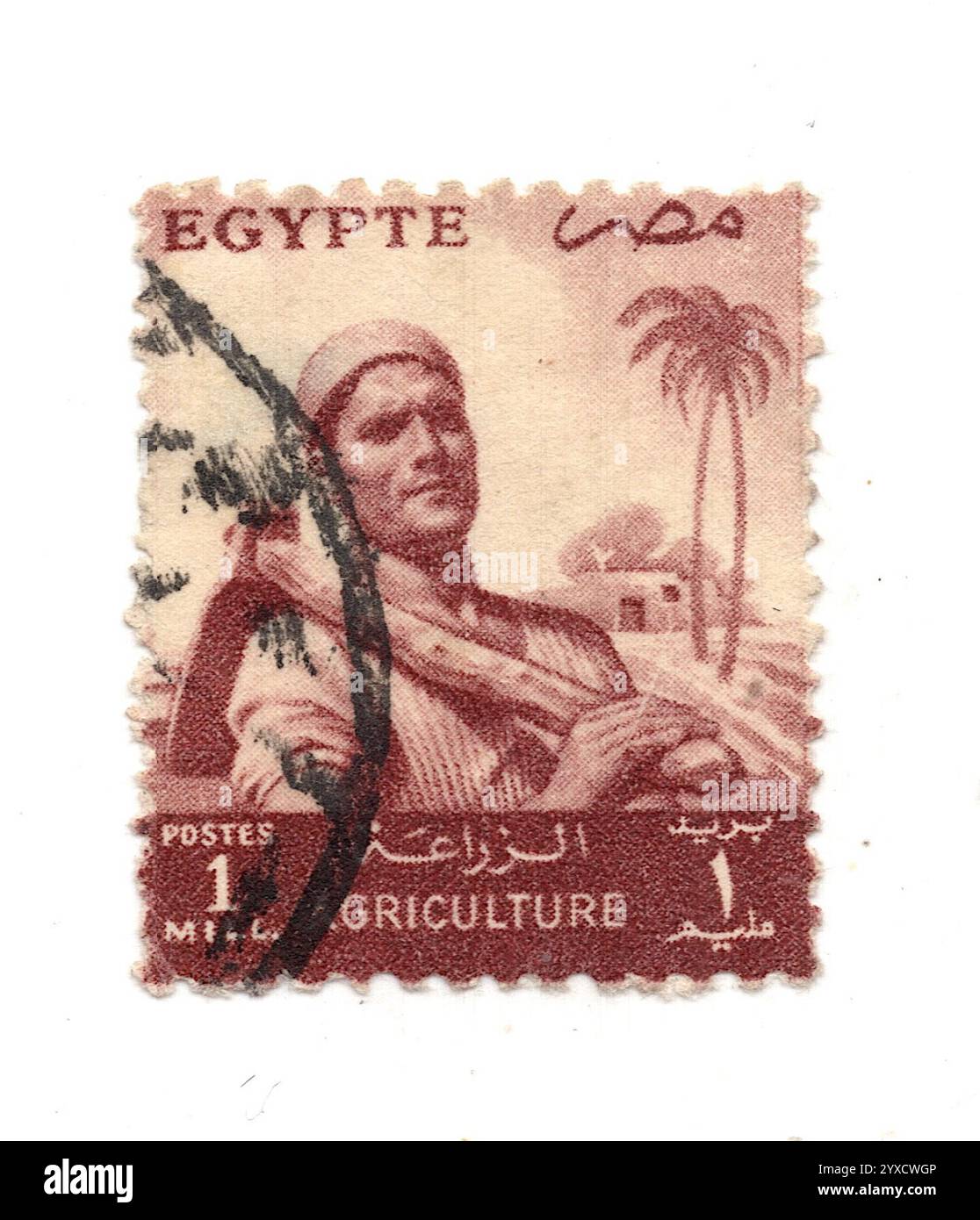 A vintage postage stamp from Egypt isolated on a white background Stock ...