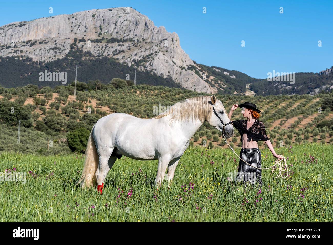 Gorgeous Spanish lady and majestic Andalusian horse embody beauty and ...