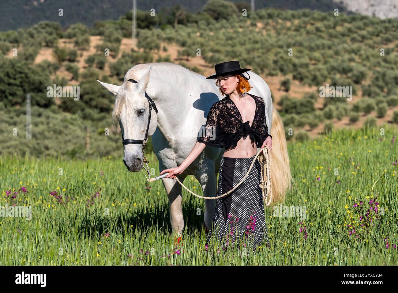 Gorgeous Spanish lady and majestic Andalusian horse embody beauty and ...