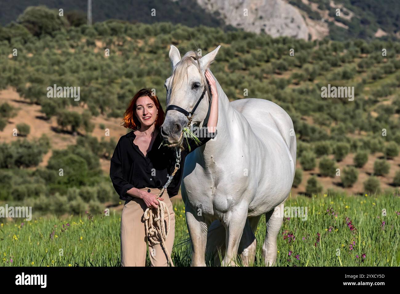 Gorgeous Spanish lady and majestic Andalusian horse embody beauty and grace in lush green field ...
