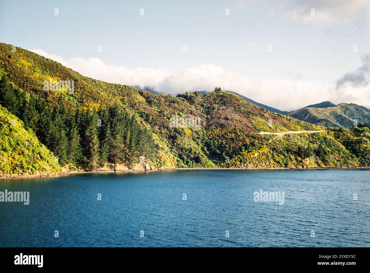 View from the Interislander ferry from Wellington on the North Island ...