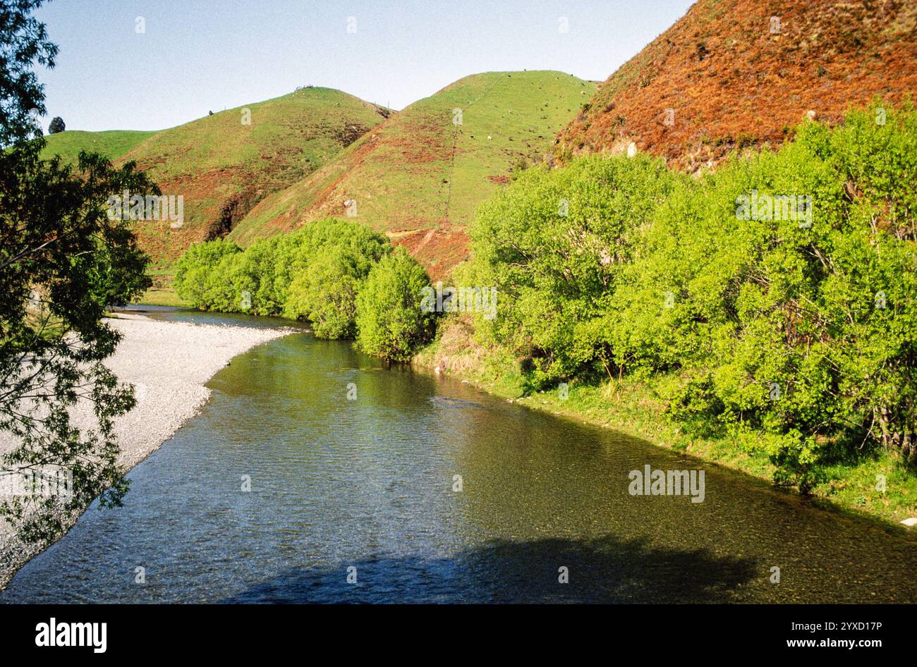 Scenic view of the Buller Gorge and Buller River on the South Island of ...