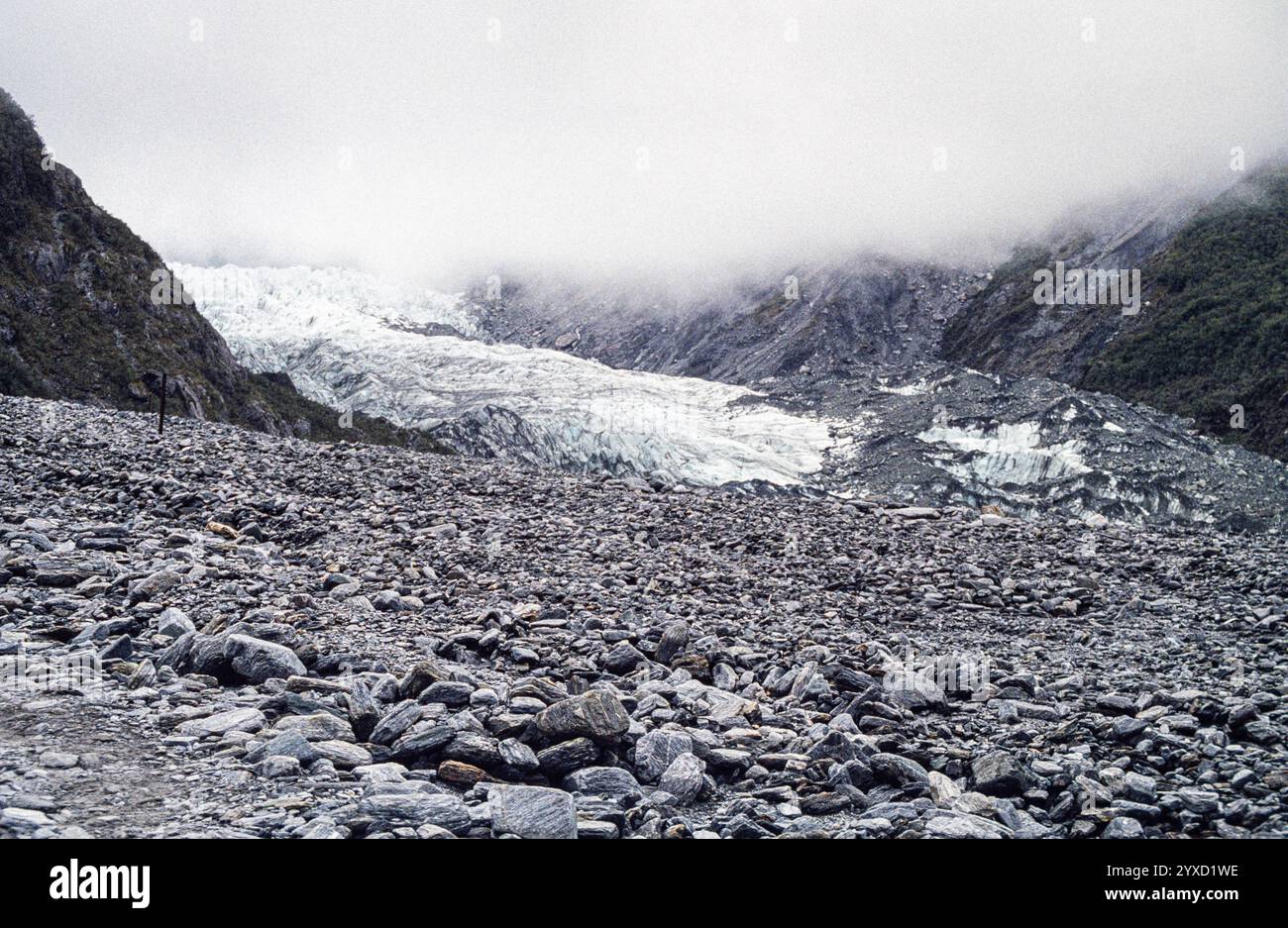 Fox Glacier, view of the glacial scenery on New Zealand South Island ...