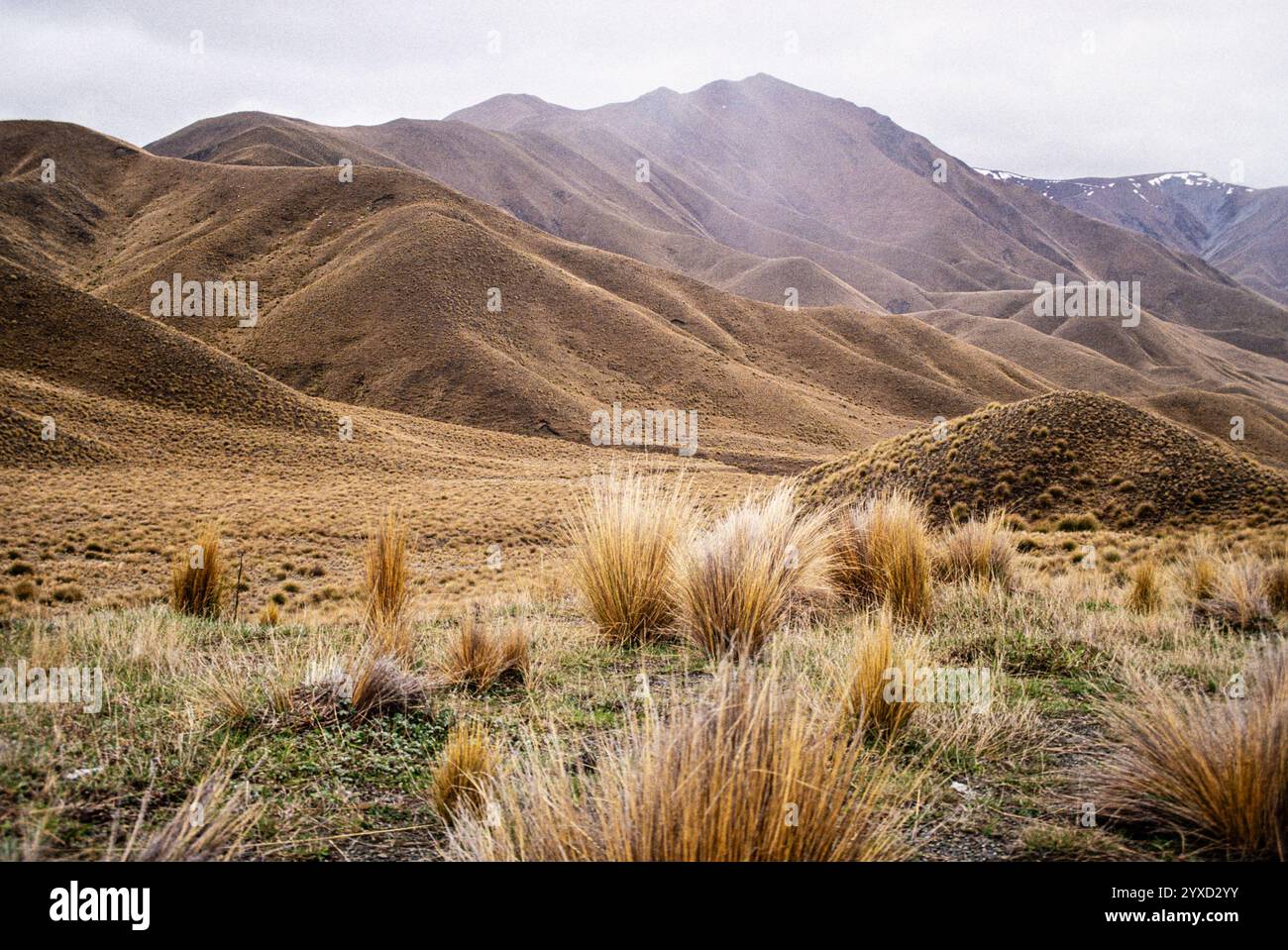 The Lindis Conservation Area on the South Island of New Zealand ...