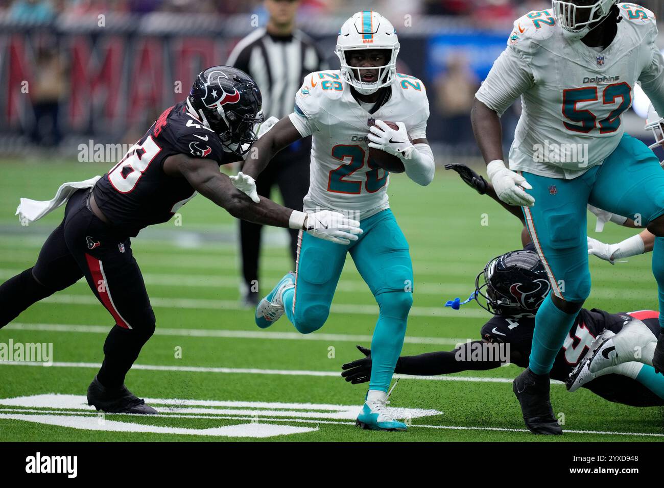 Devon dolphins hi-res stock photography and images - Alamy