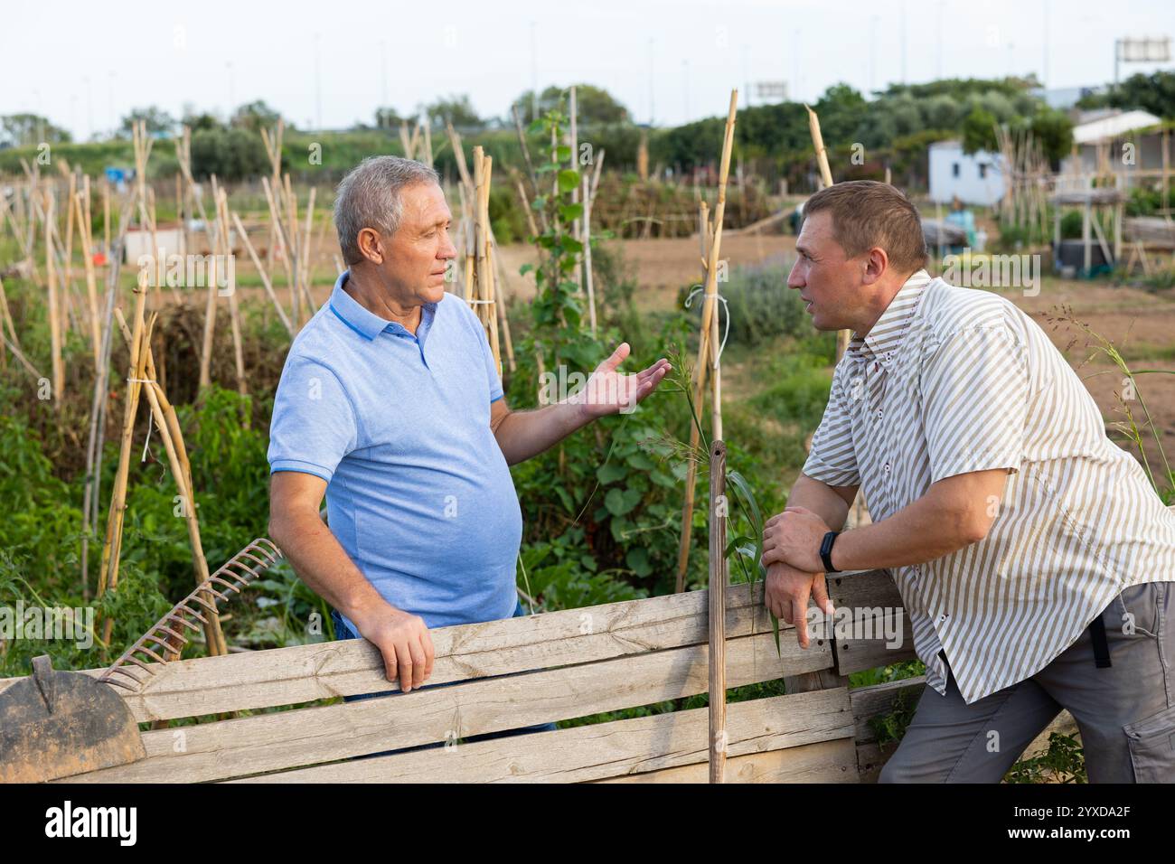 Two male farmers talking outside next to wooden fence on background ...