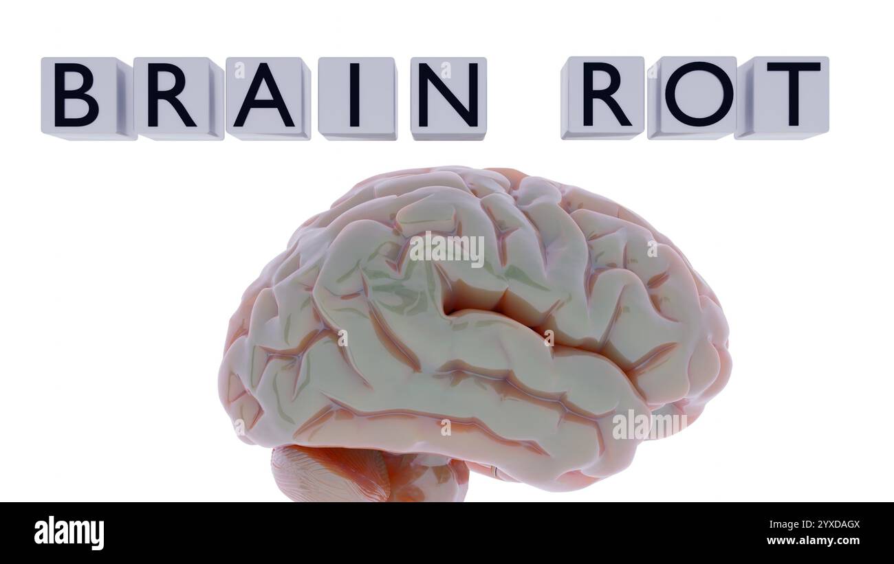 3d rendering of human brain and words "BRAIN ROT" on the white cubes Stock Photo - Alamy