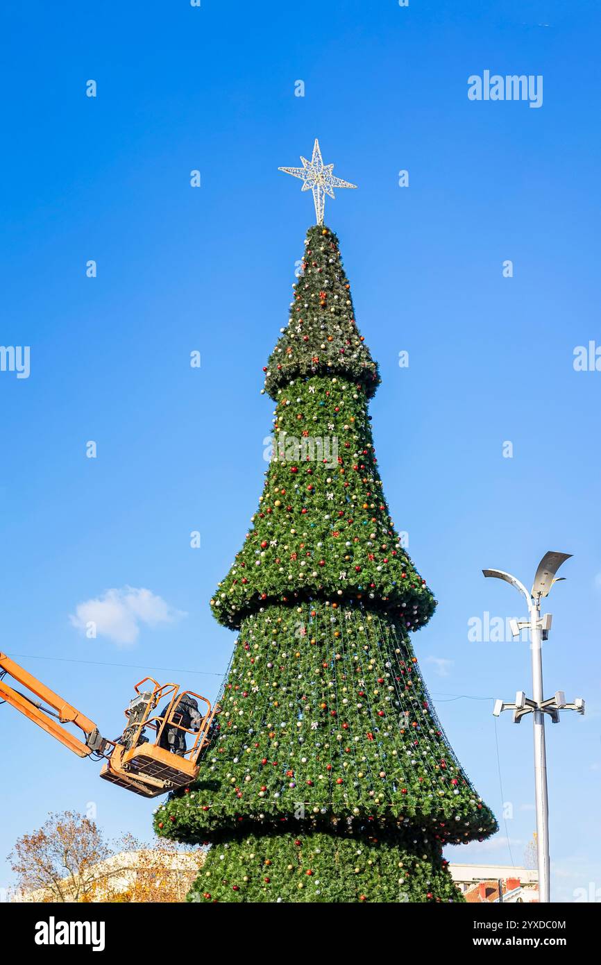 Large outdoor Christmas tree being decorated under a clear blue sky ...