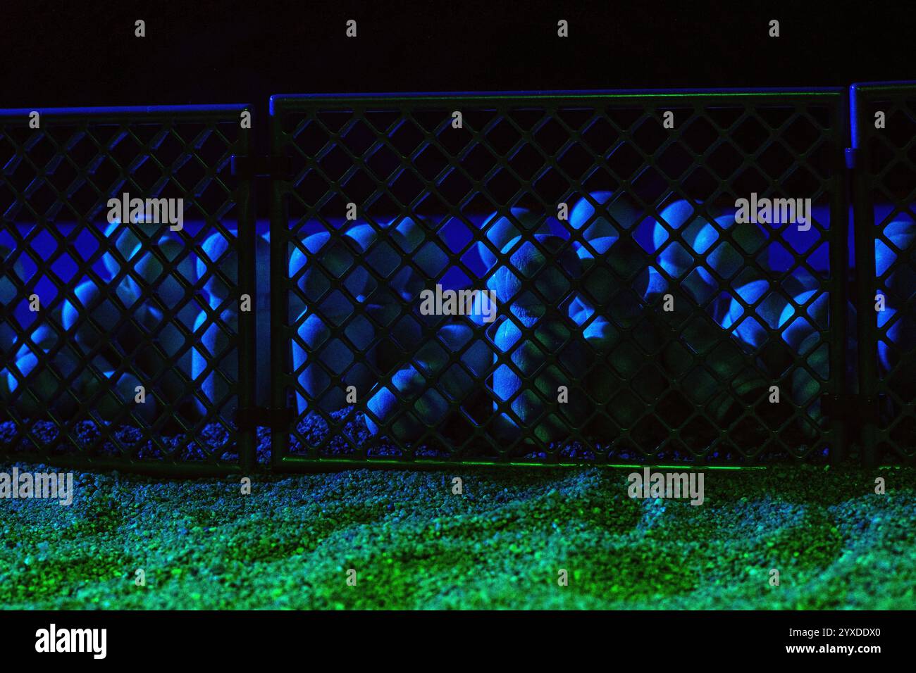 Pawns and fence hi-res stock photography and images - Alamy