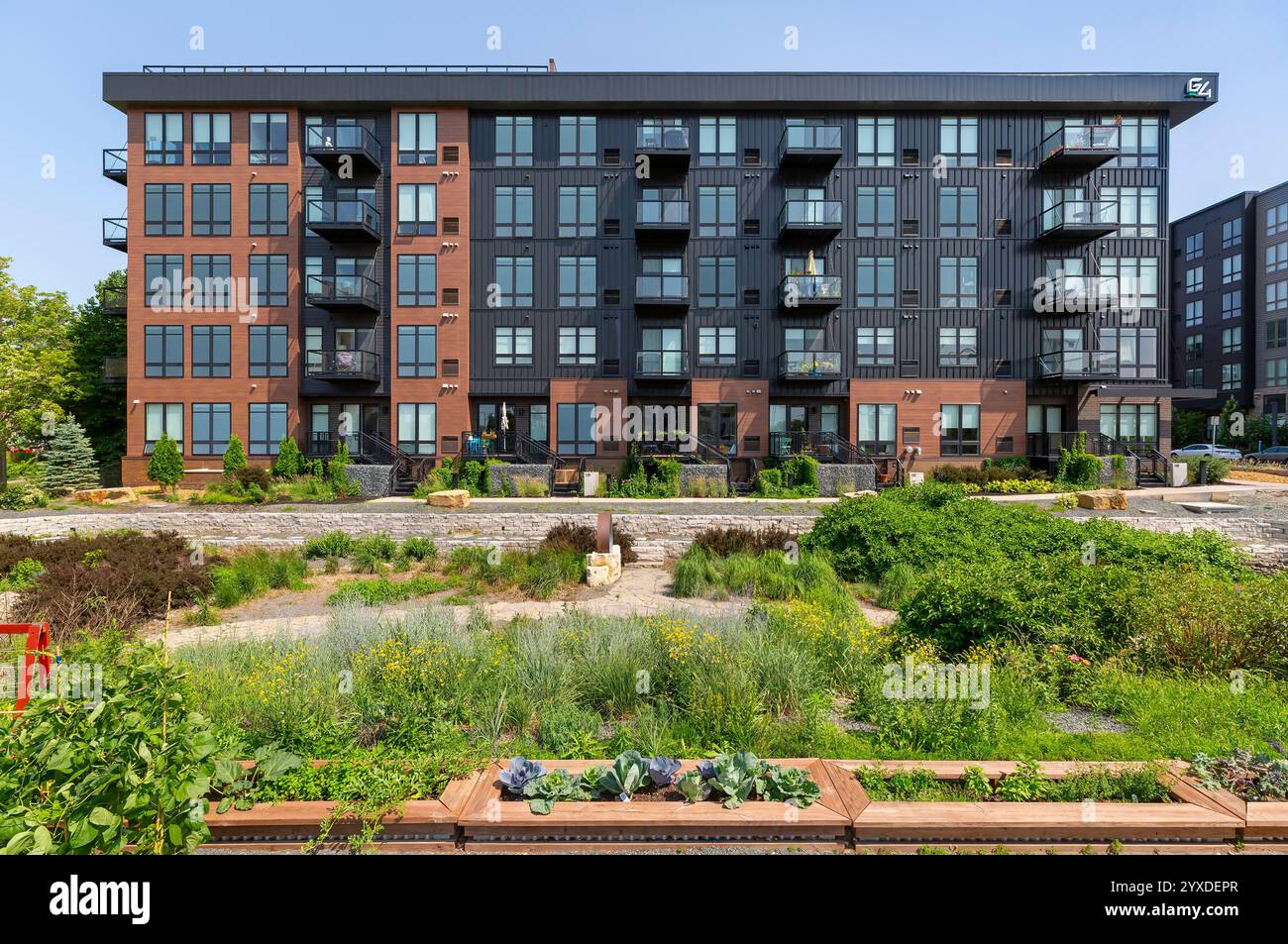 Community garden in front of large apartment building hi-res stock ...