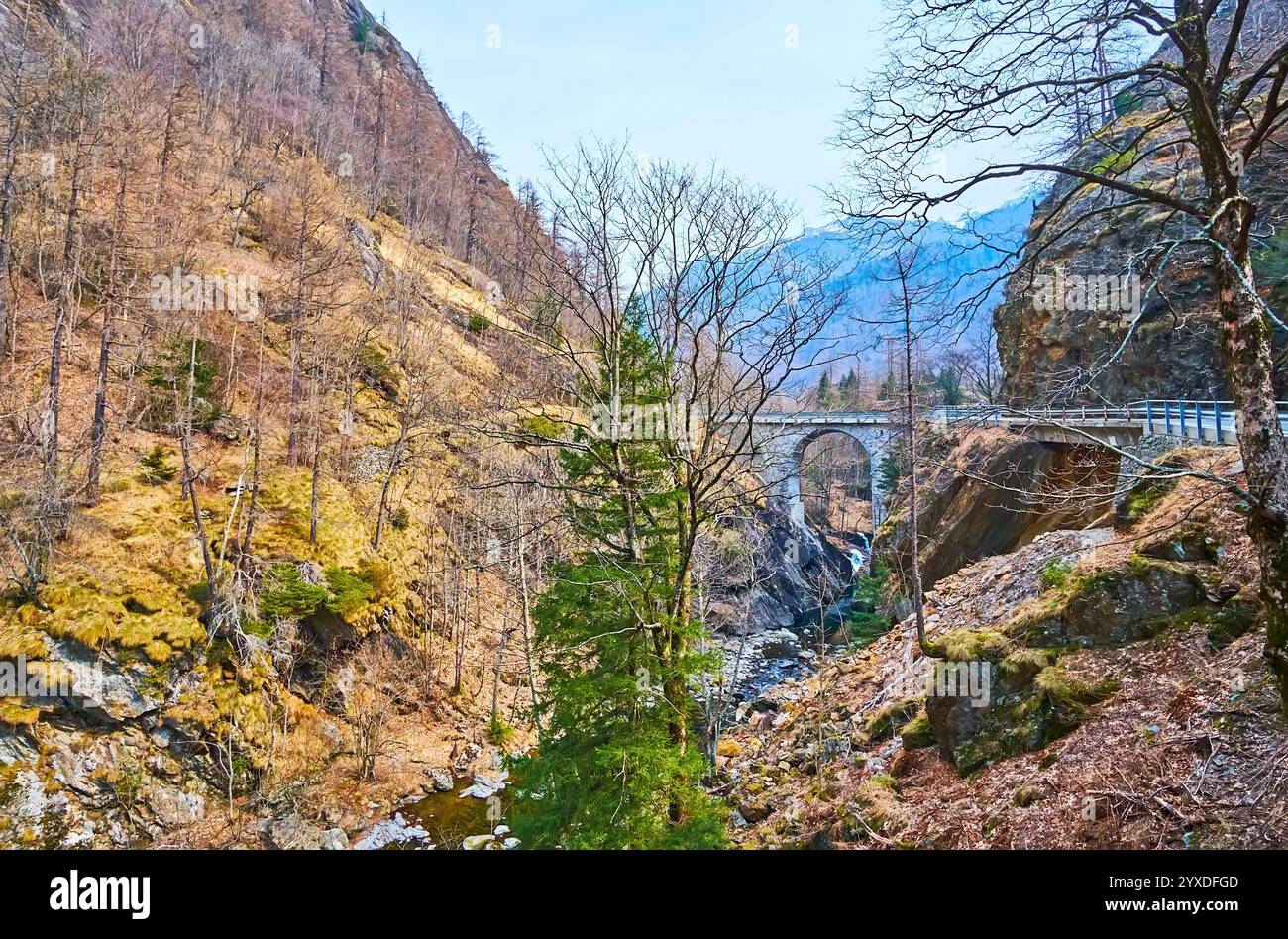 The rocky Alps, covered with forests and with River Maggia amid the ...