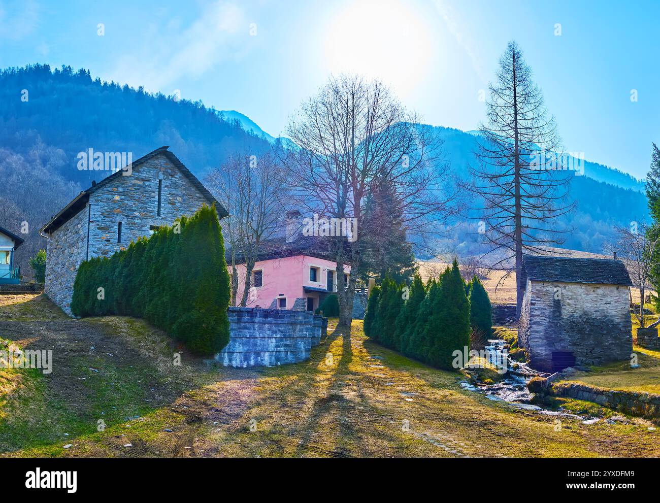 The mountain slope with medieval stone houses, conifer trees, green ...