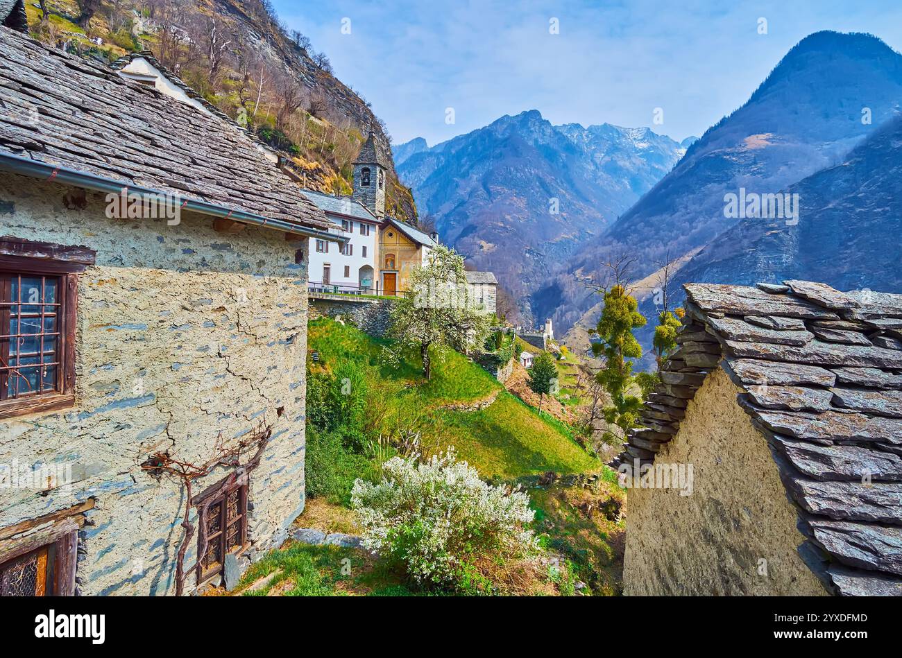 The dramatic Alpine landscape with tall peaks, lush spring flowering ...