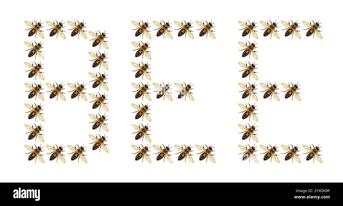 the word bee composed of many bees on the white background, honey bee ...
