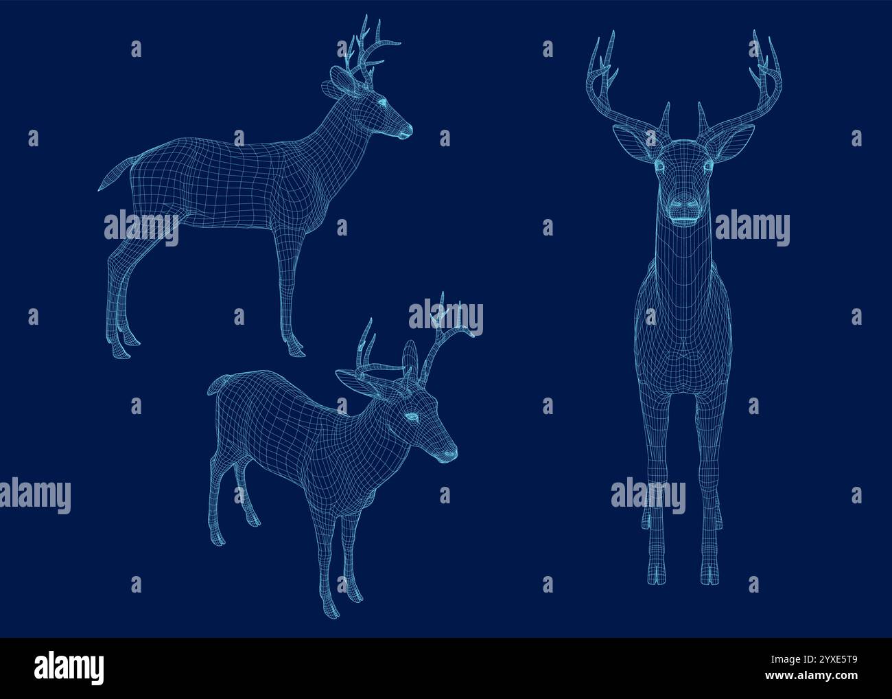 Set with wireframe deer of blue lines on a dark background. Side, front ...