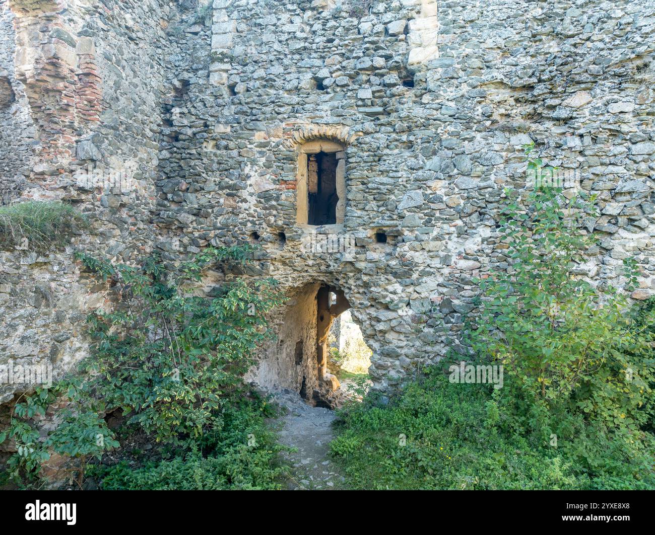 Aerial view of Soimos medieval castle ruin above the Mures river in ...